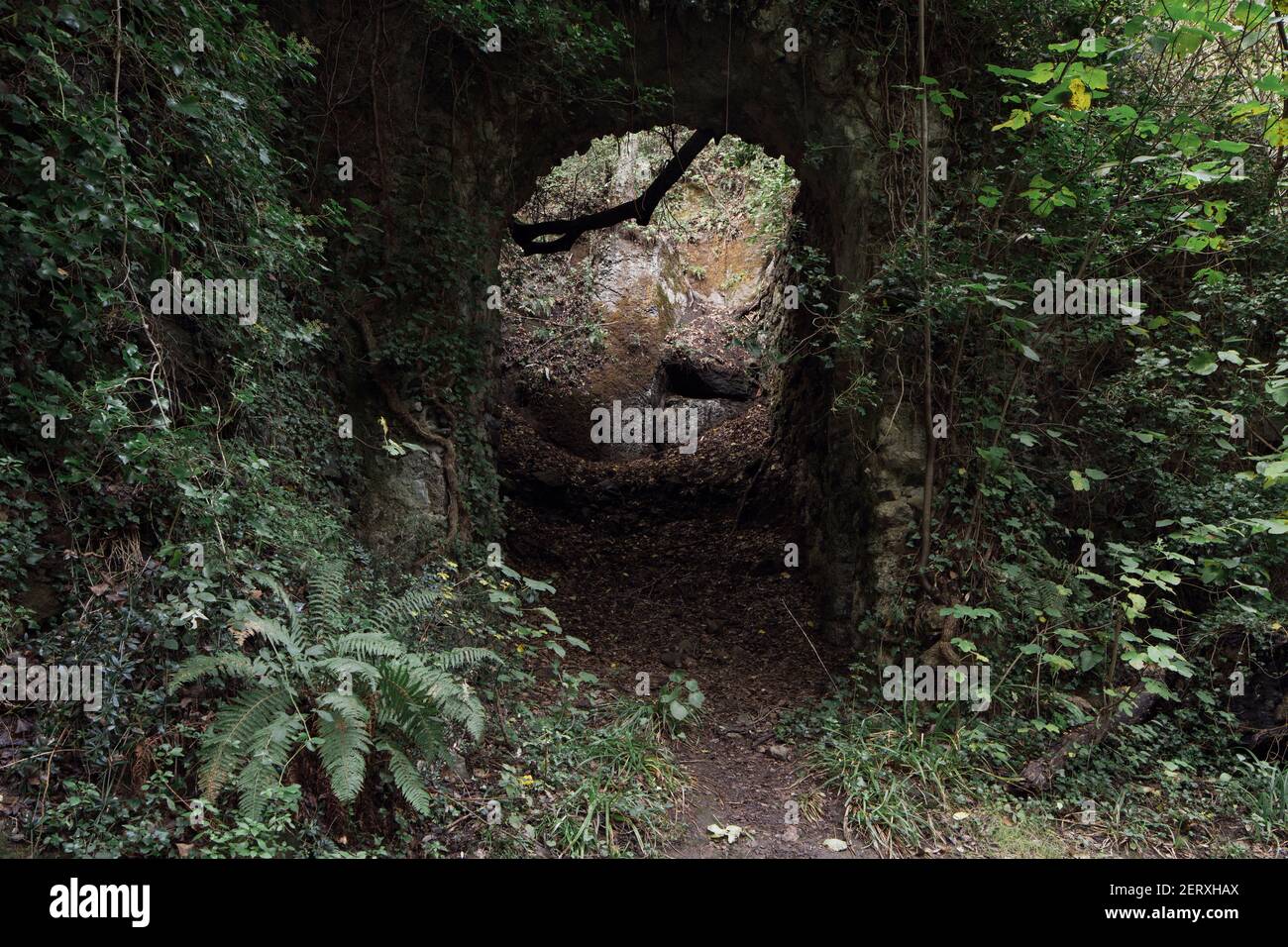 Ancient ruin covered by vegetation near the little waterfalls of San ...