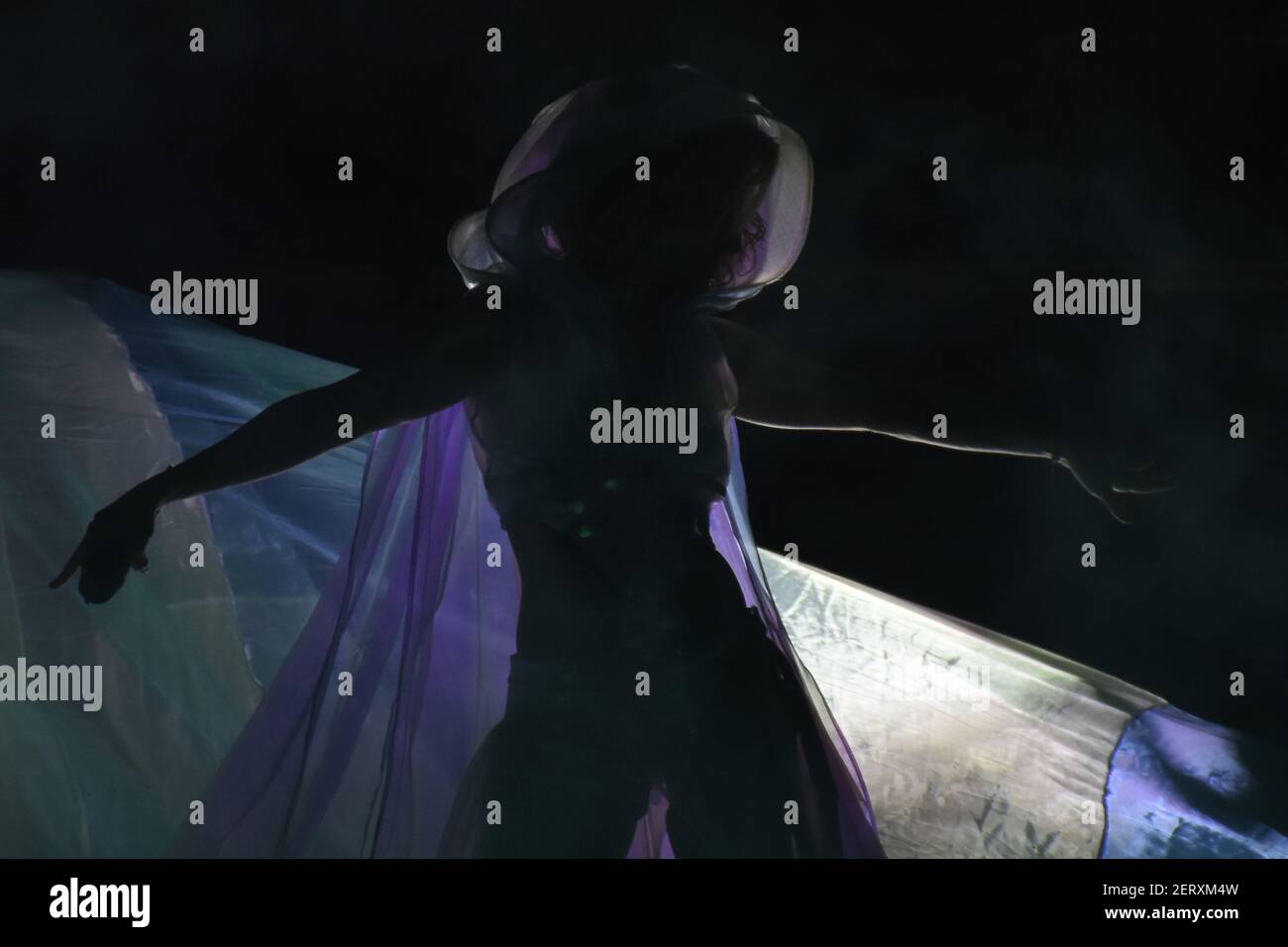 Mexican singer María Fernanda Blázquez Gil? 'Fey' seen performs on ...