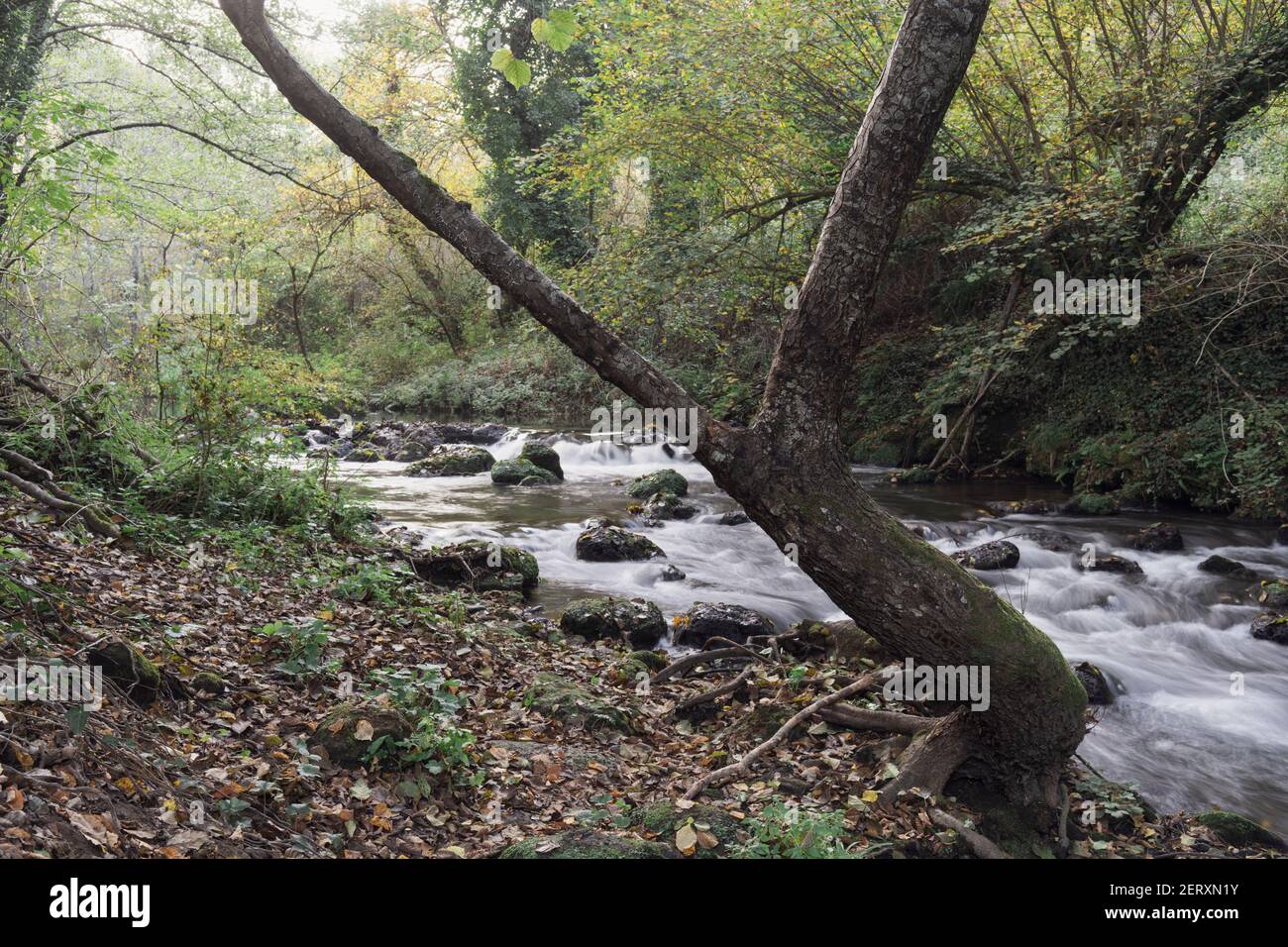 River treja hi-res stock photography and images - Alamy