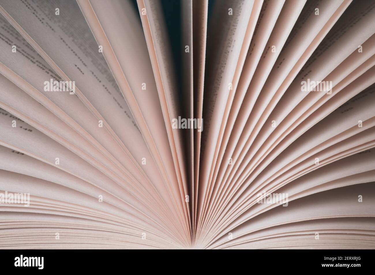 Symmetrical shot of an open book. pages fanned out in both directions ...