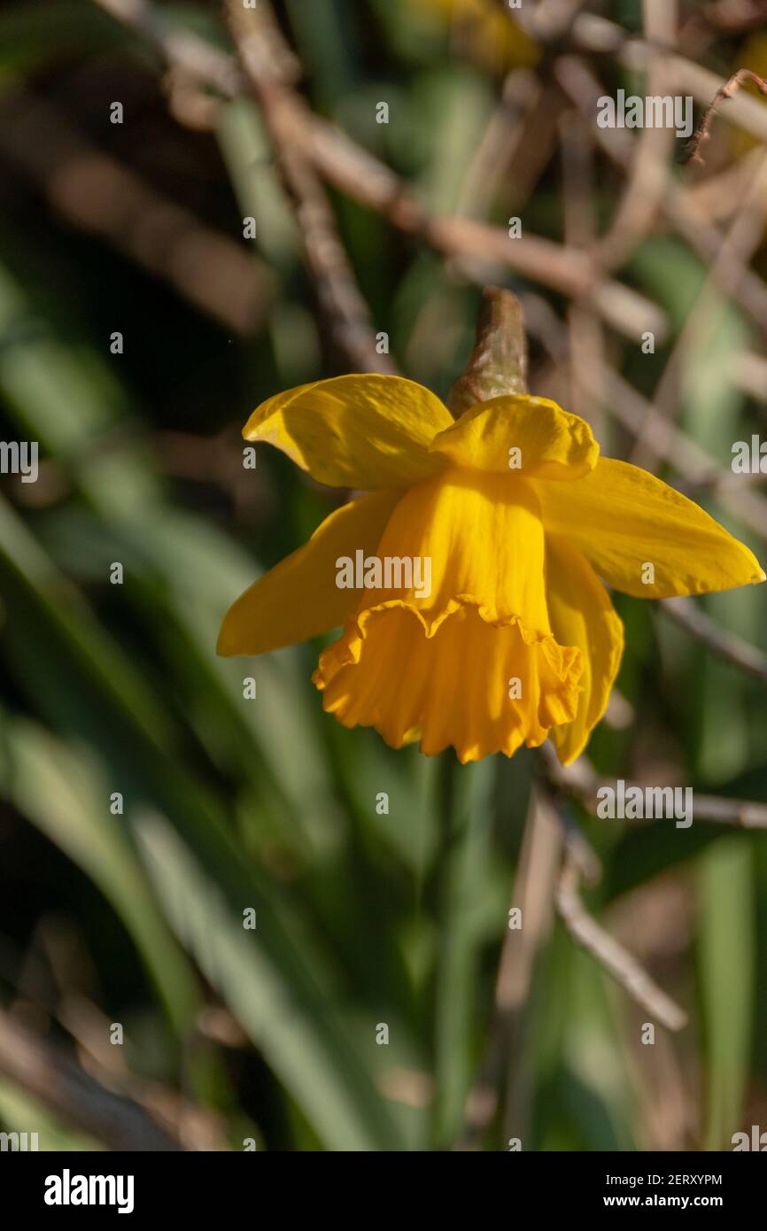 Side view facing hi-res stock photography and images - Alamy