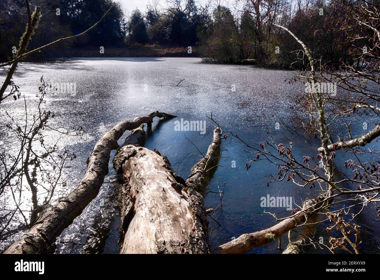 Iced over pool hi-res stock photography and images - Alamy