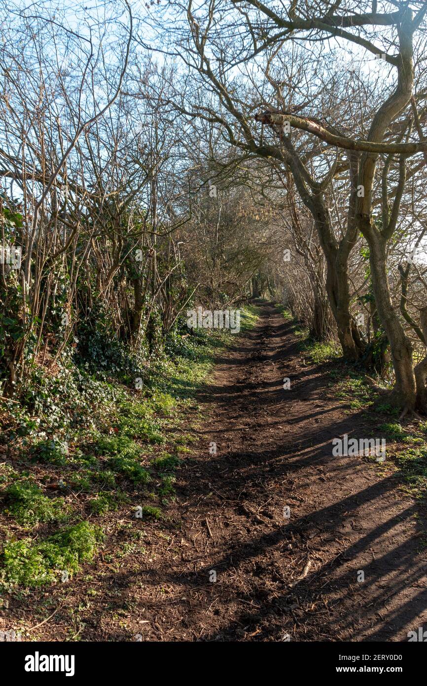 Natrual pattern hi-res stock photography and images - Alamy