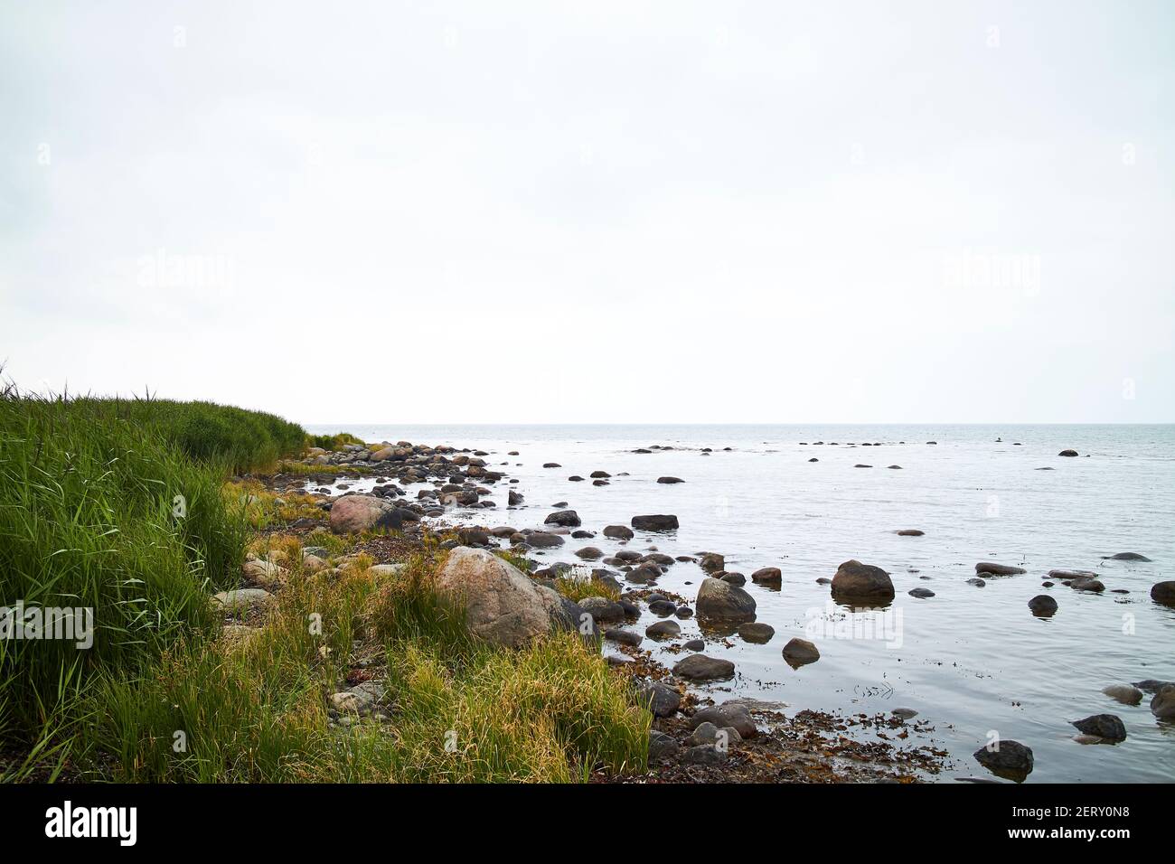 Green grass on the beach in Denmark Stock Photo - Alamy