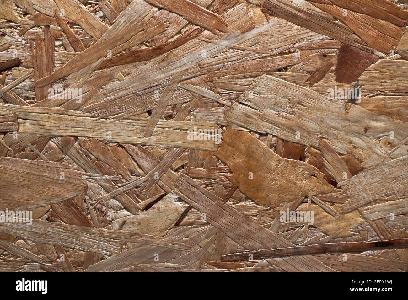 Panel added hi-res stock photography and images - Alamy