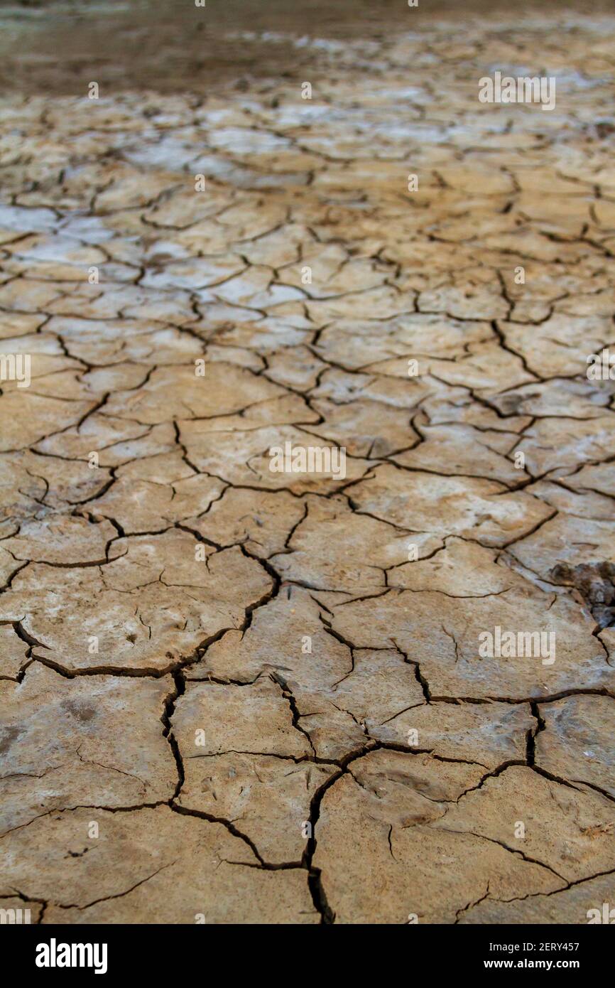 Cracked earth wet rain hi-res stock photography and images - Alamy