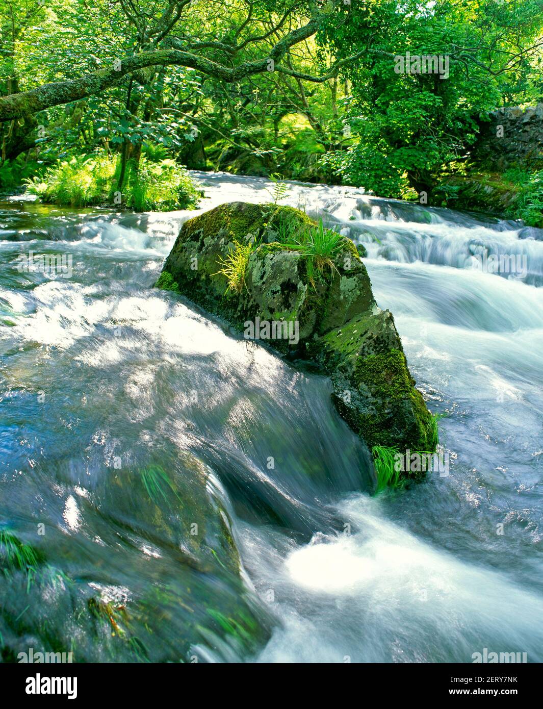 mountain river, with boulder Stock Photo - Alamy