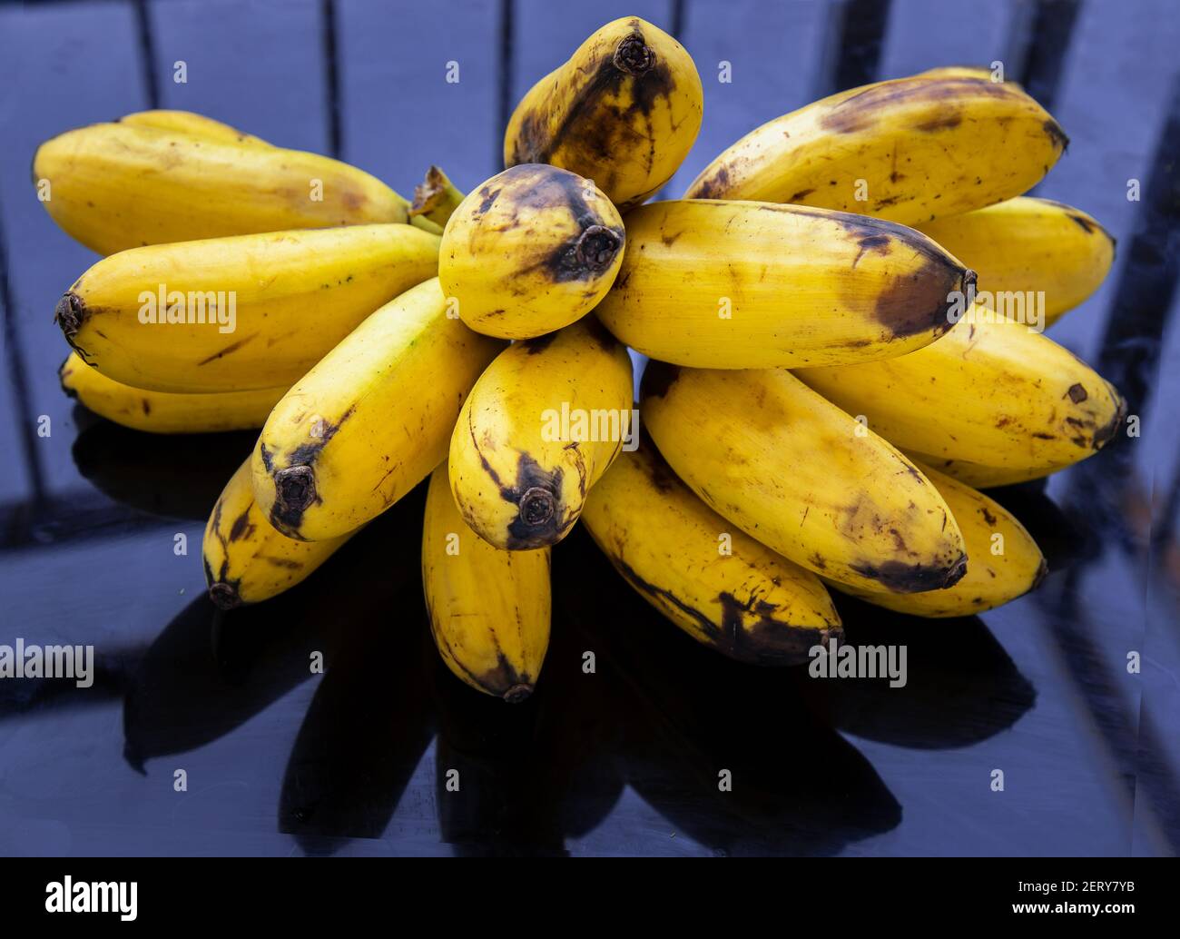 Bunch of Lady finger bananas.Tropical Fruit Natural Product on black ...