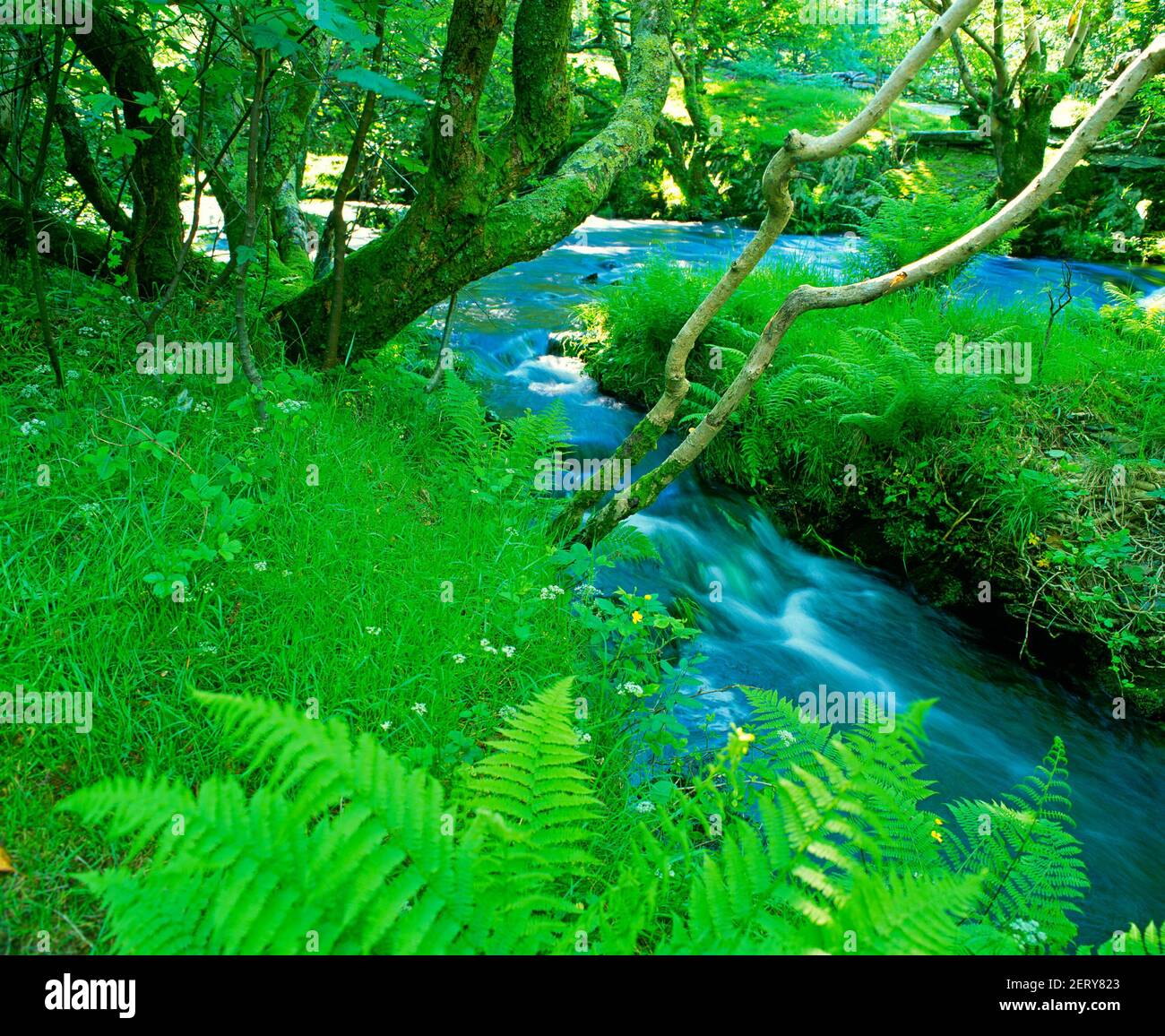 Full river overflow water hi-res stock photography and images - Alamy