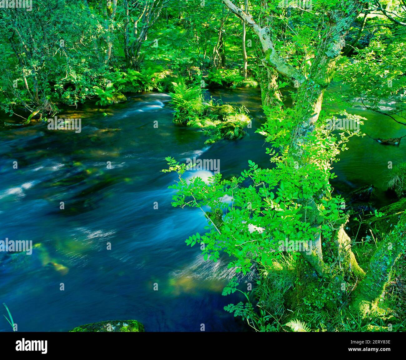 mountain river, spring Stock Photo - Alamy