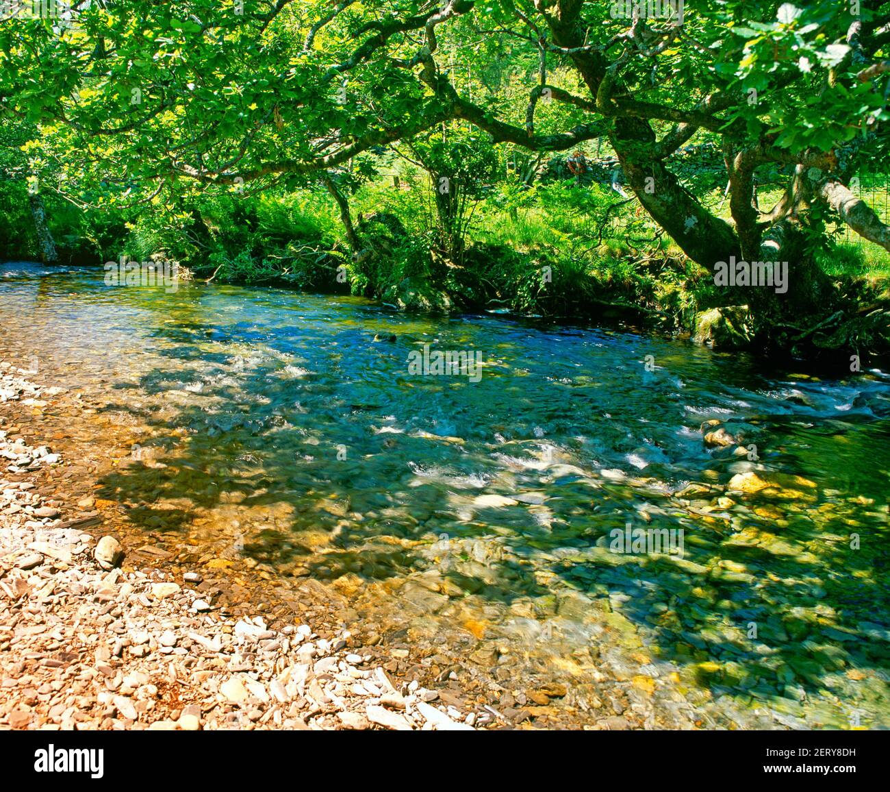 babbling river, summer Stock Photo - Alamy