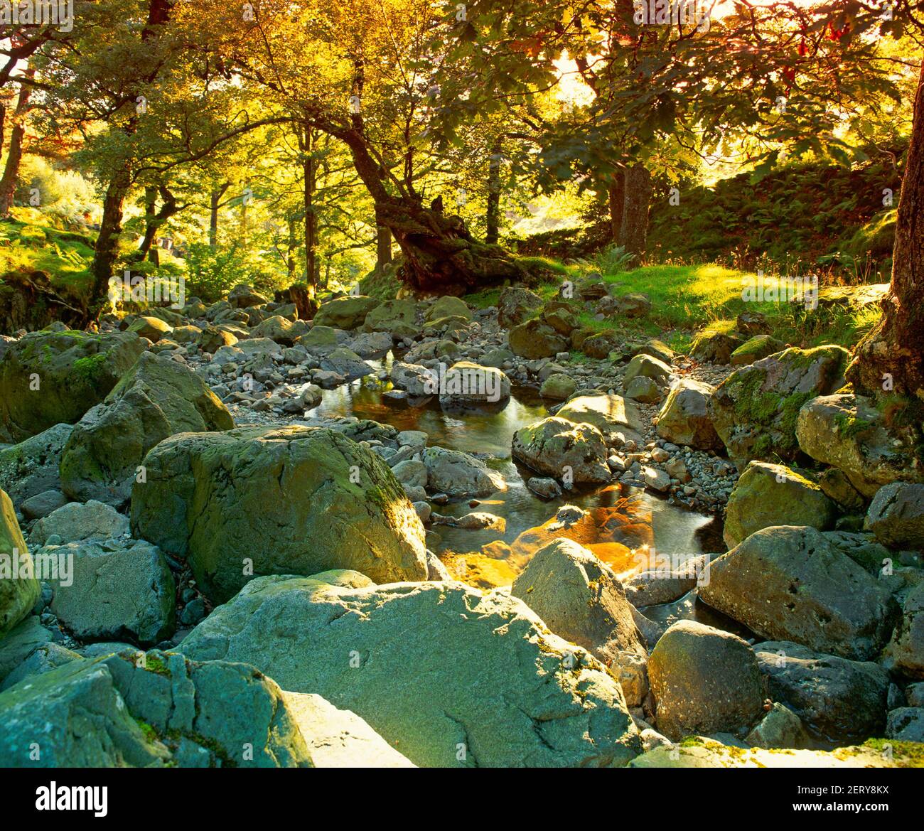 Boulders in river bed hi-res stock photography and images - Alamy