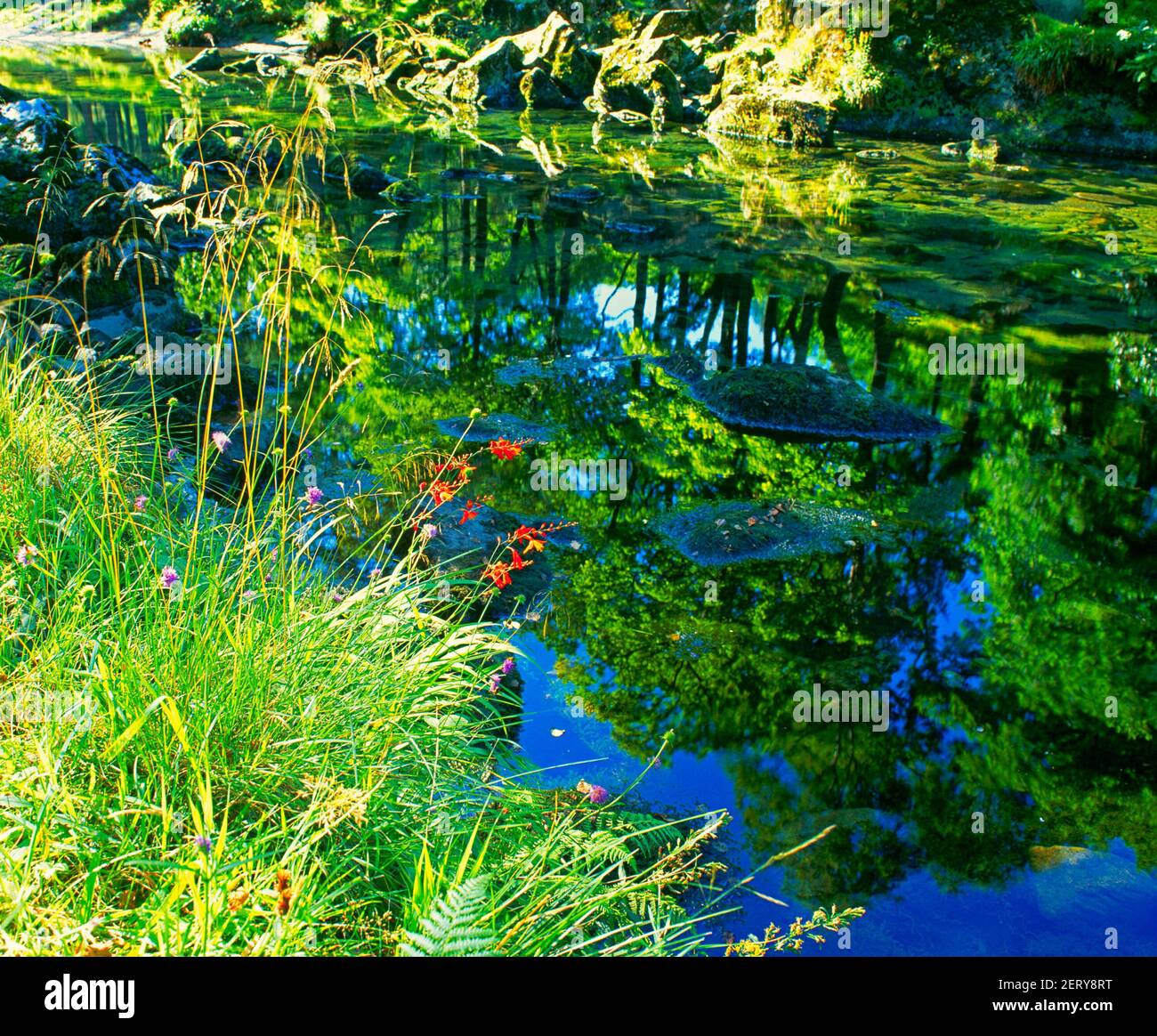 Tree lined lake reflections hi-res stock photography and images - Alamy