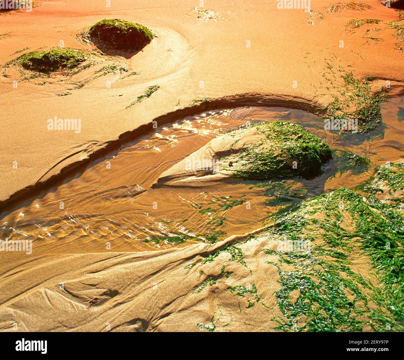 Combing sand hi-res stock photography and images - Alamy