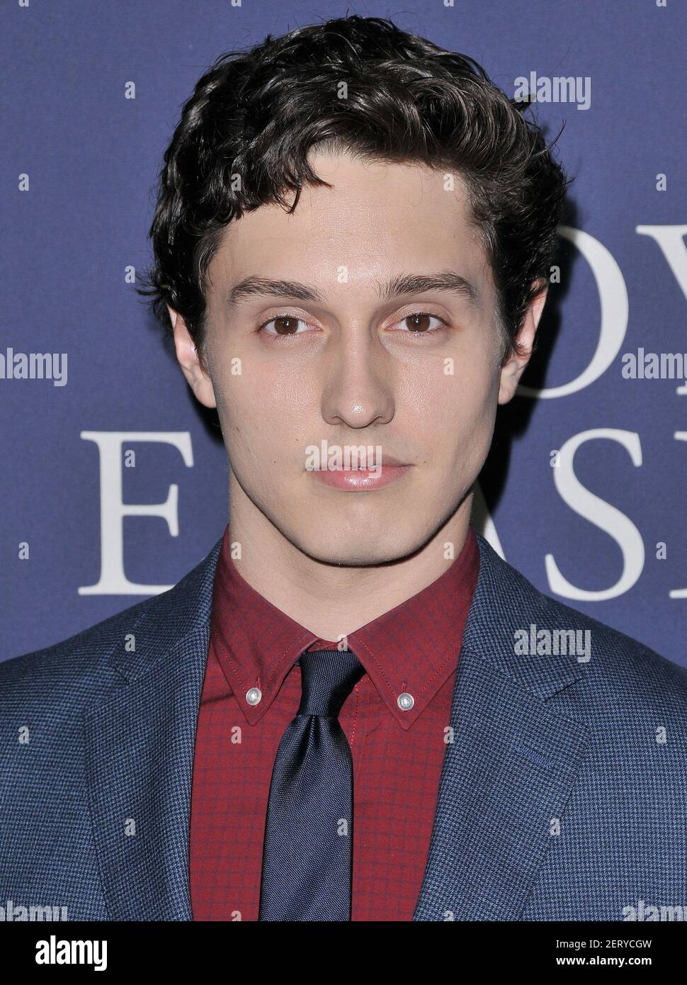 Josh Scherer arrives at the "Boy Erased" Los Angeles Premiere held at ...