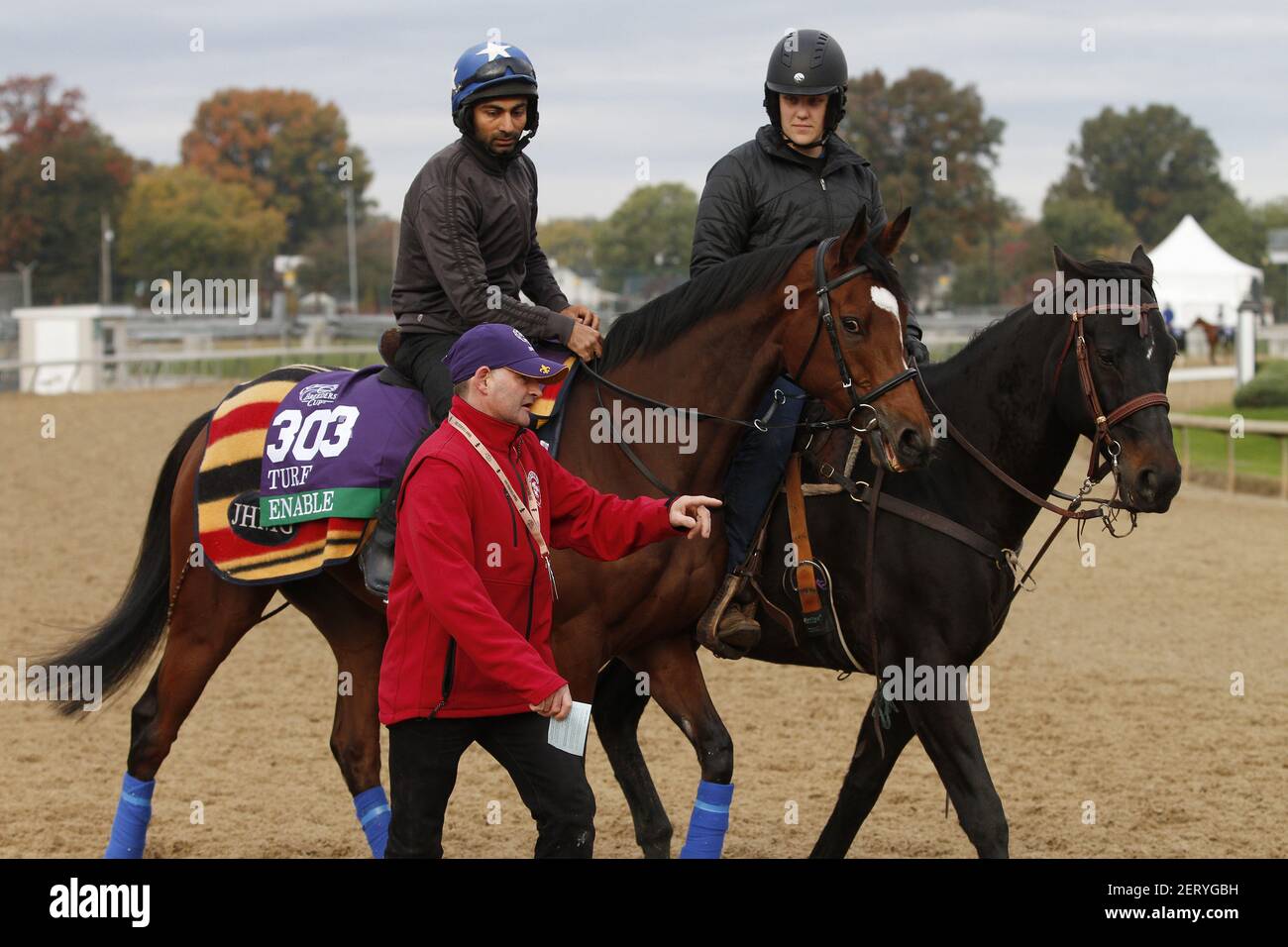 Enable horse hi-res stock photography and images - Alamy