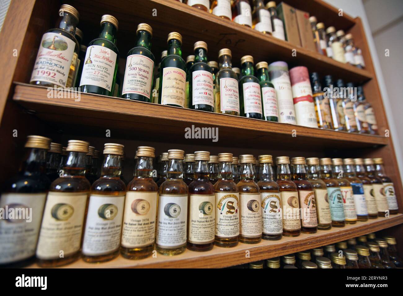 Miniature scotch whisky bottle collection on shelving racks Stock Photo ...