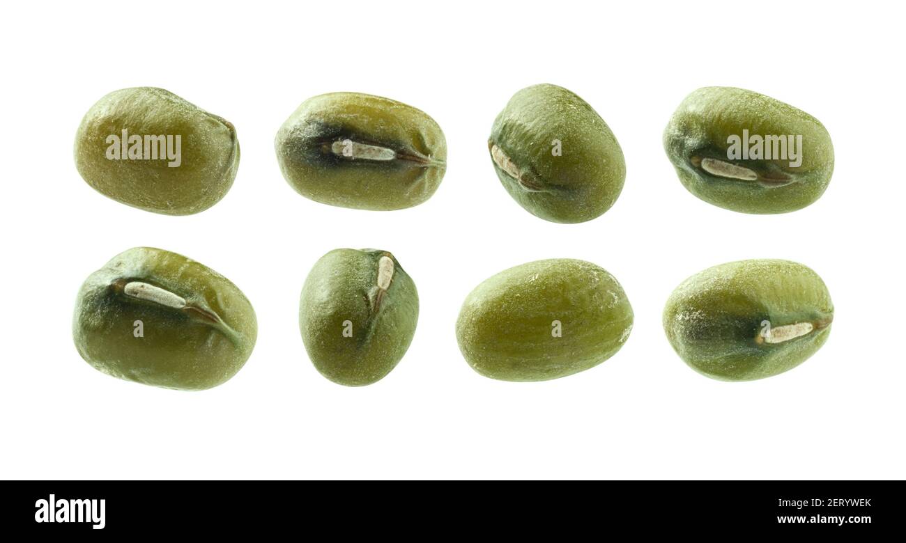 Seed saver Cut Out Stock Images & Pictures - Alamy