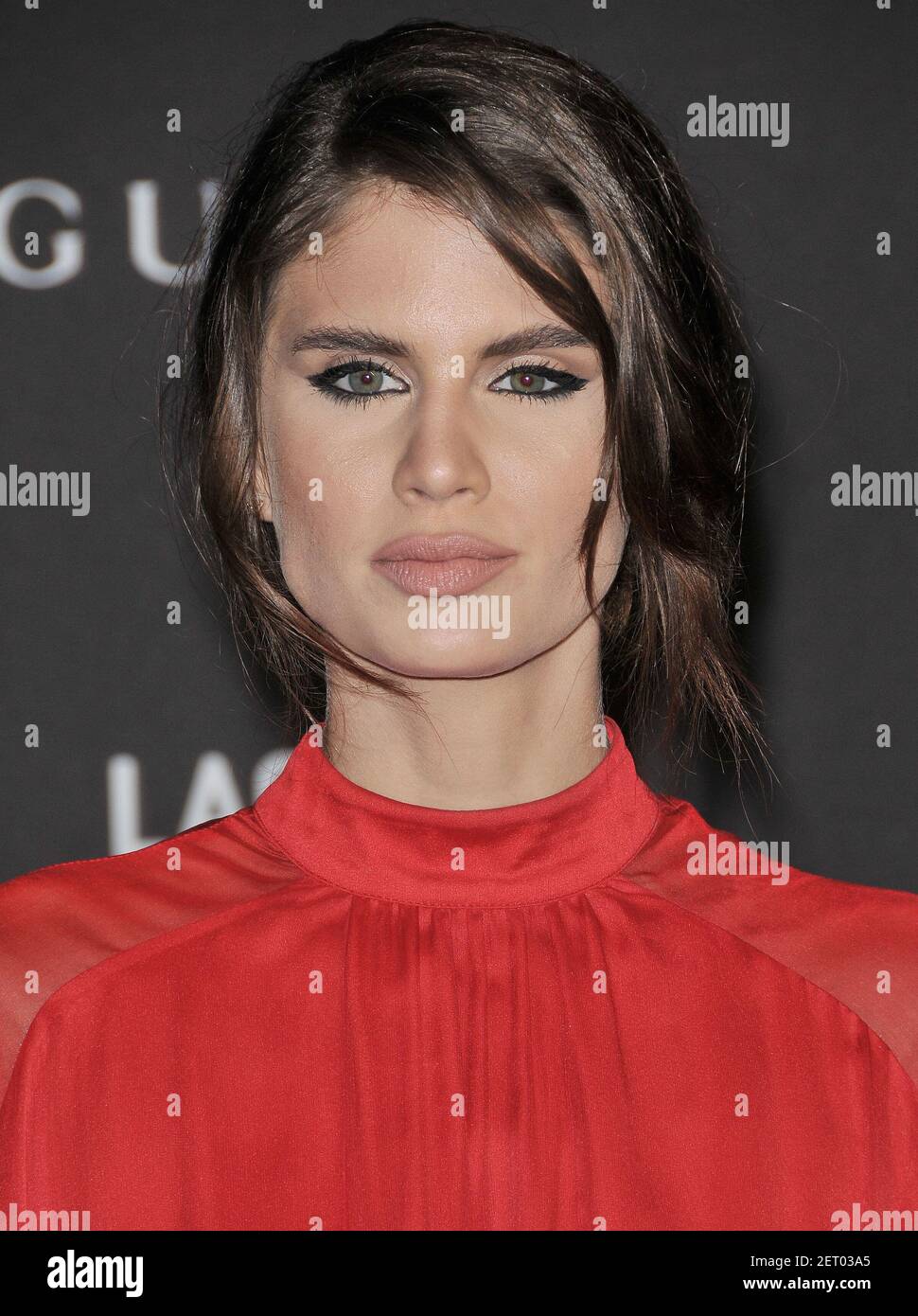 Livia Pillmann arrives at the 2018 LACMA Art + Film Gala held at LACMA ...