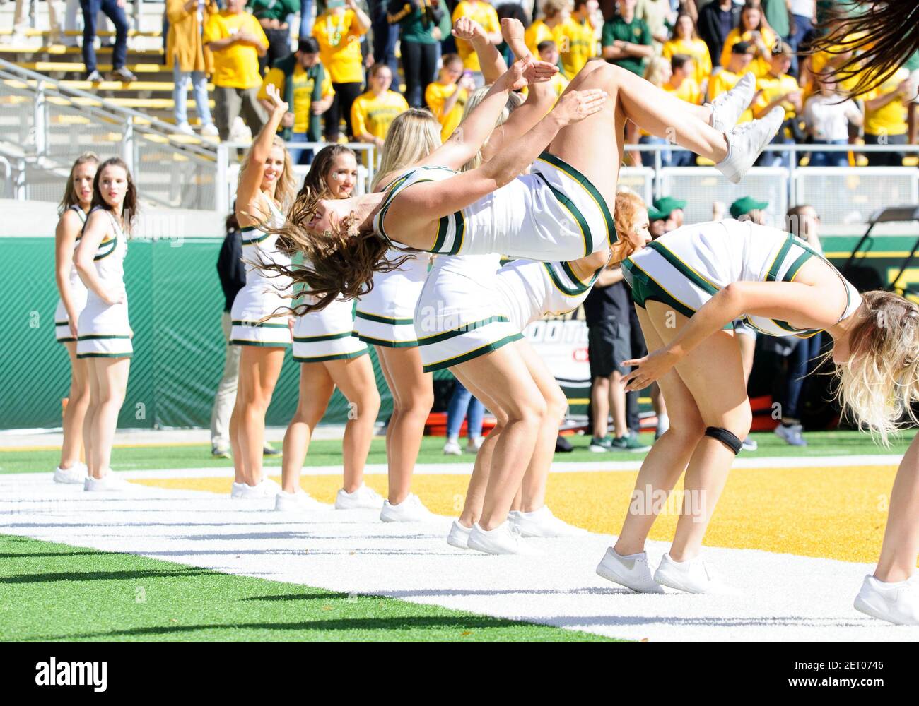 November 3 2018: Baylor Bears cheerleaders flip after touchdown during ...
