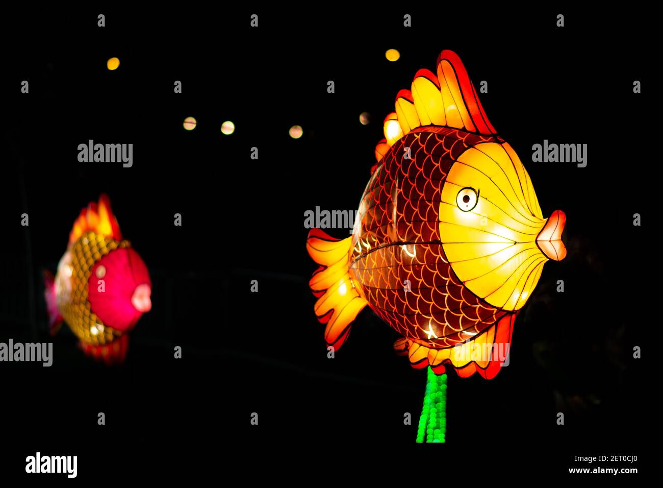 The Chinese Lantern Festival at the Limanski park. A colorful fish ...