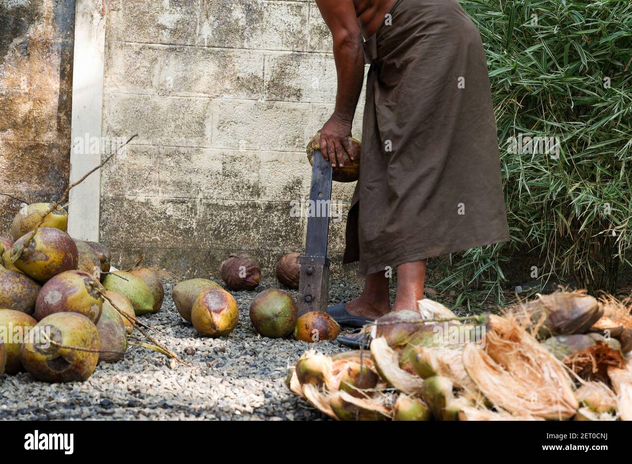 Coconut Farm High Resolution Stock Photography and Images - Alamy