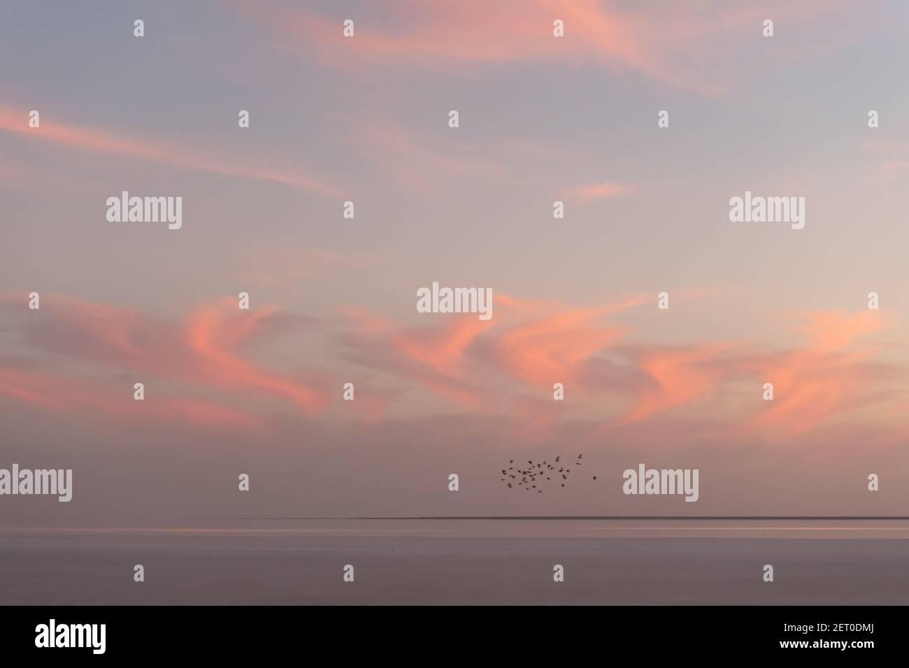 Sunset on the sea with red glowing cloudy sky and flock of birds. Ocean ...