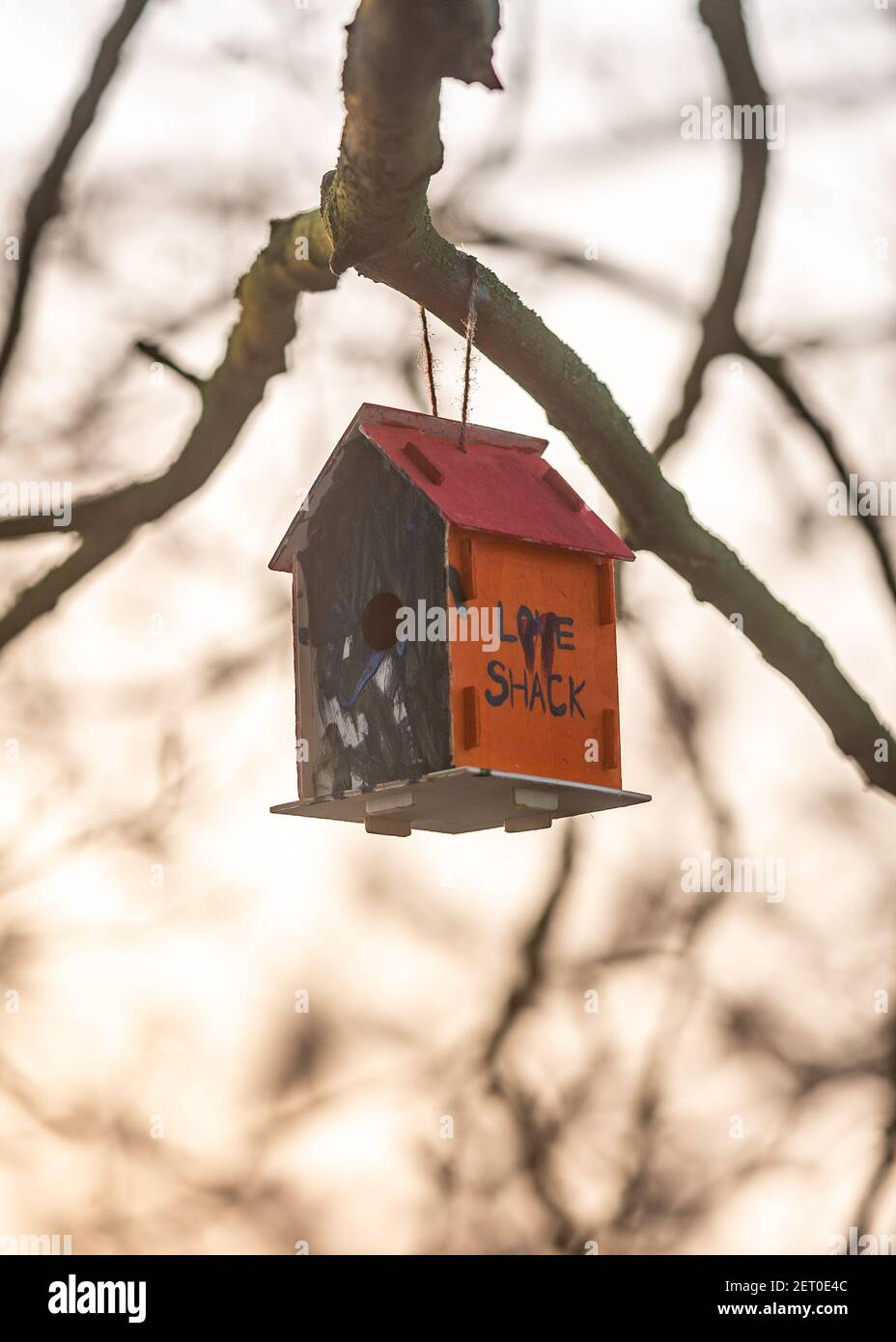Home made feeder hi-res stock photography and images - Alamy