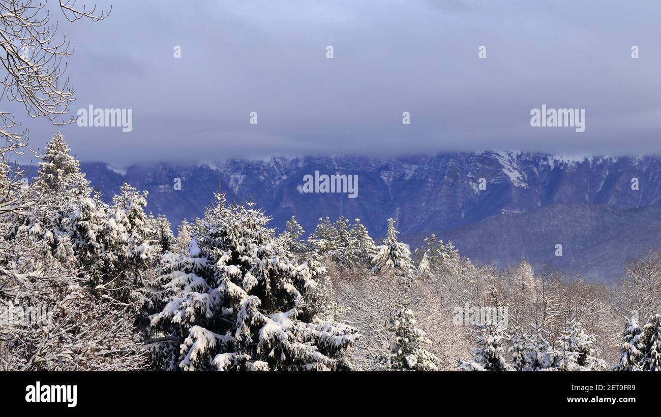 Heavy snowfall in mountains hi-res stock photography and images - Alamy