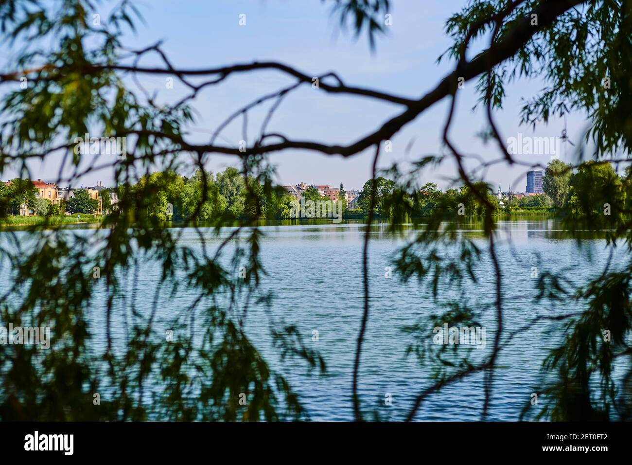 A view through the trees Stock Photo - Alamy