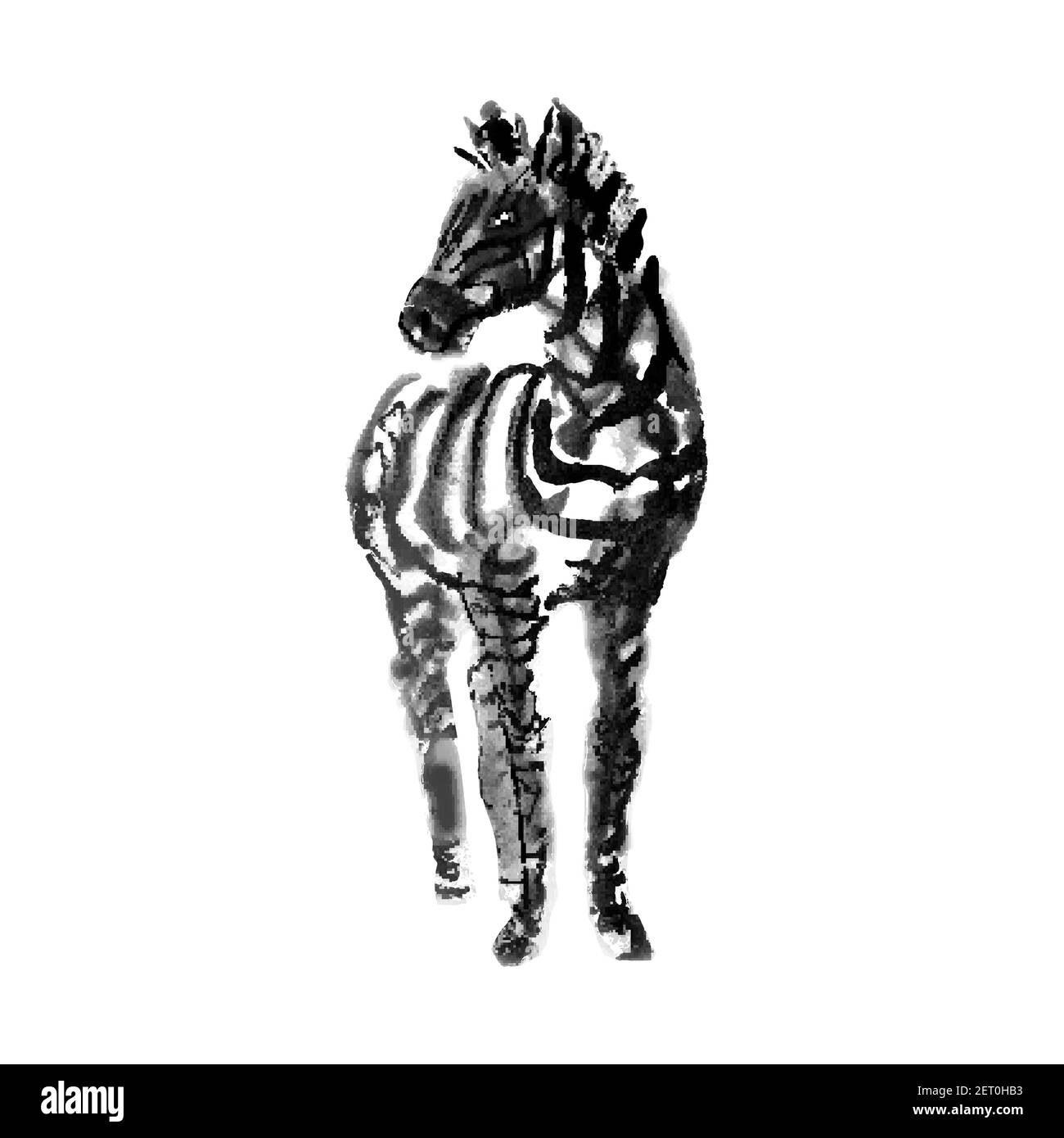 Ink zebra sketch isolated on white background. Front view of zebra ...