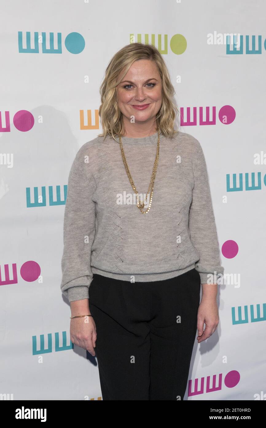 Amy Poehler attending the Worldwide Oprphans Gala 14th Gala at ...