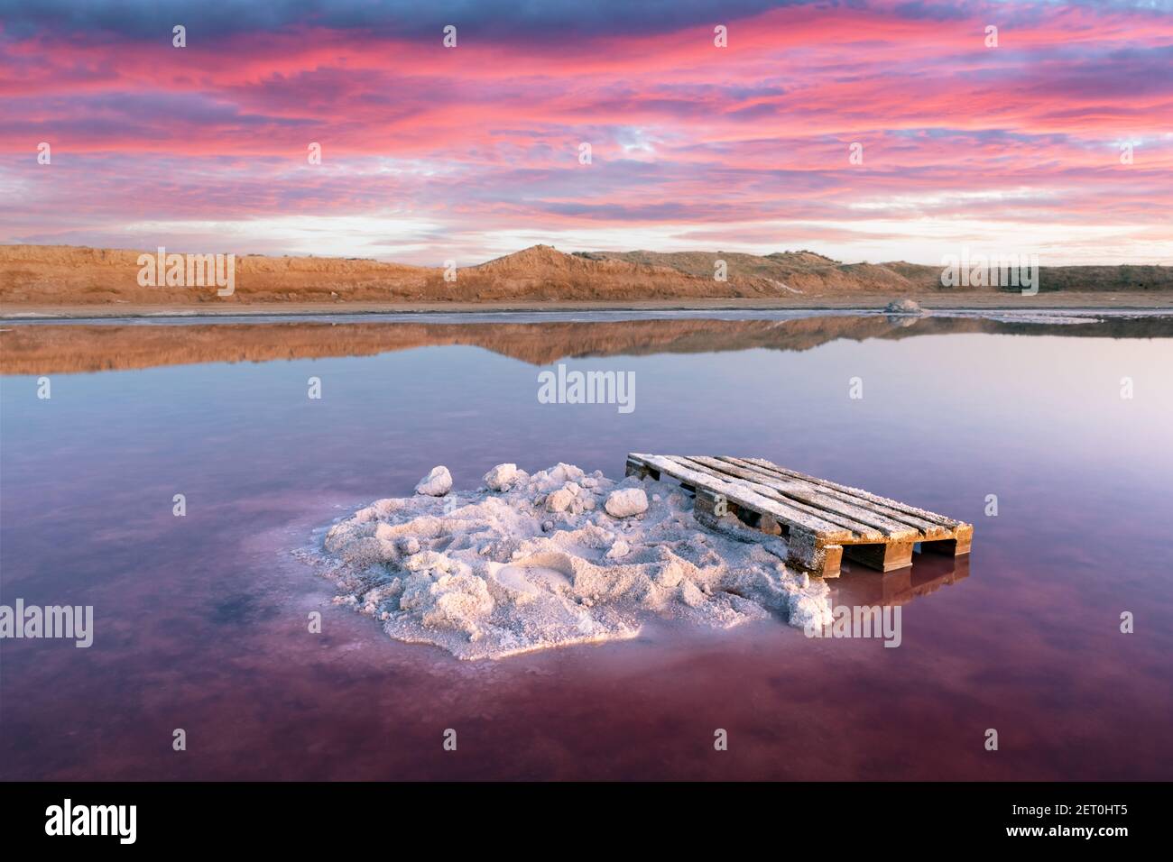 Salt crystals in pink water salt lake in Ukraine, Europe. Landscape ...