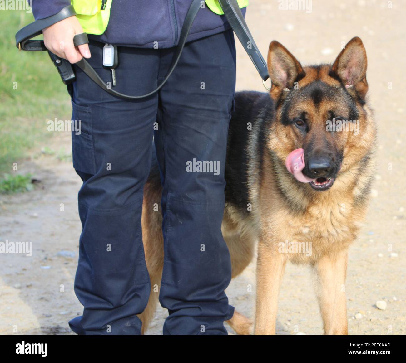 Handler and dog hi-res stock photography and images - Alamy