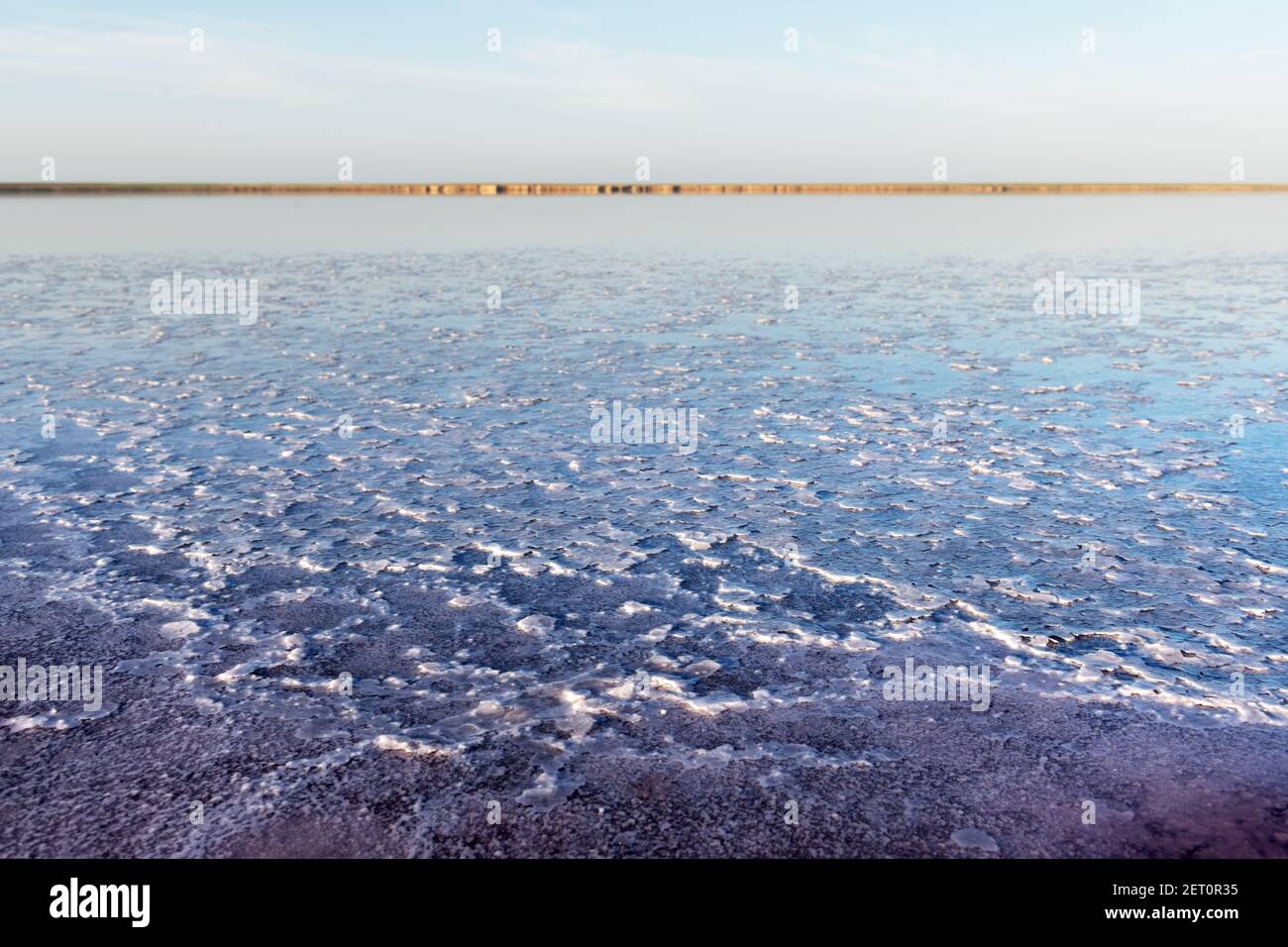 Salt crystals in pink water salt lake in Ukraine, Europe. Landscape ...