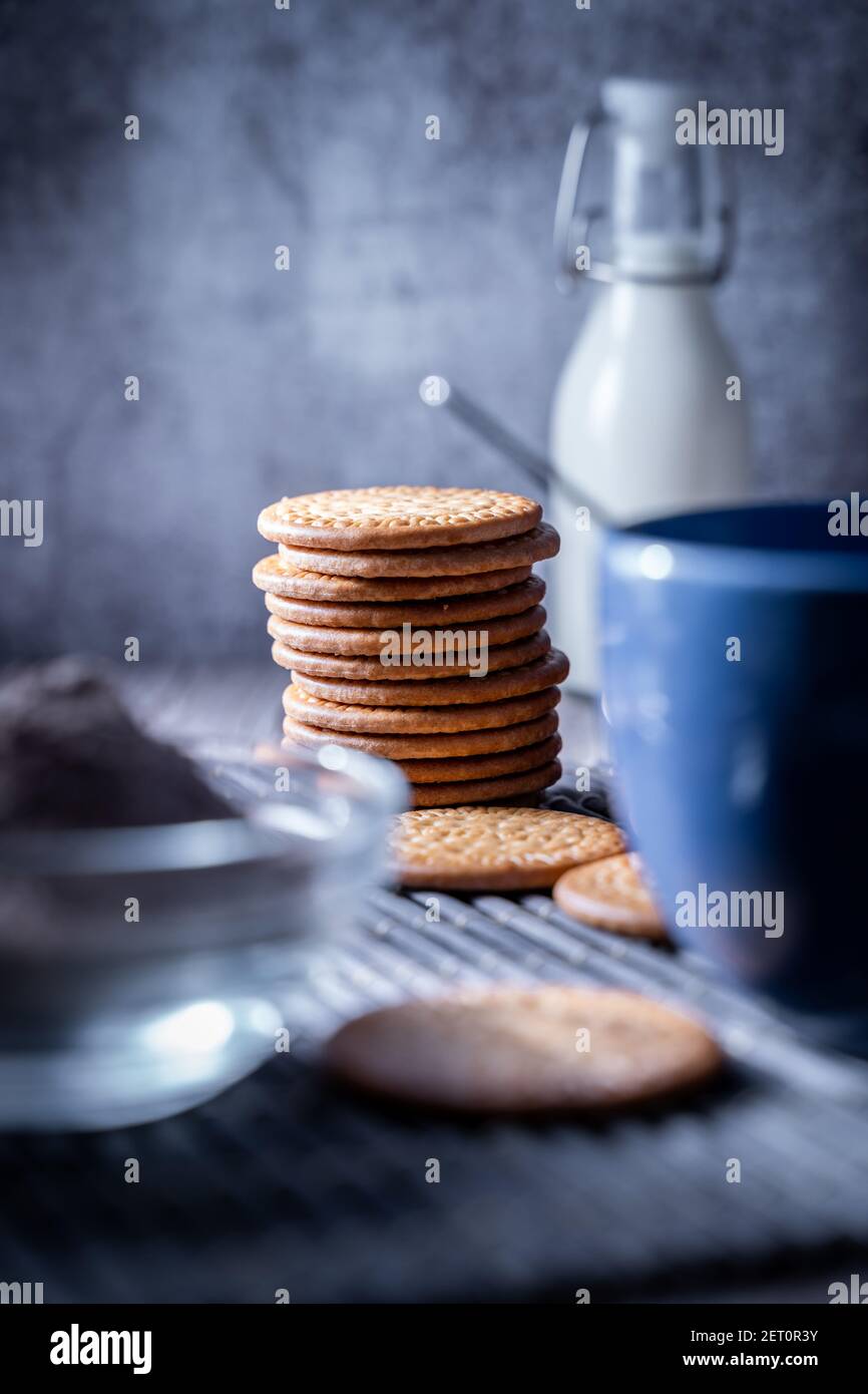 A vertical shot of fresh Maria cookies (galletas Maria), cocoa powder ...