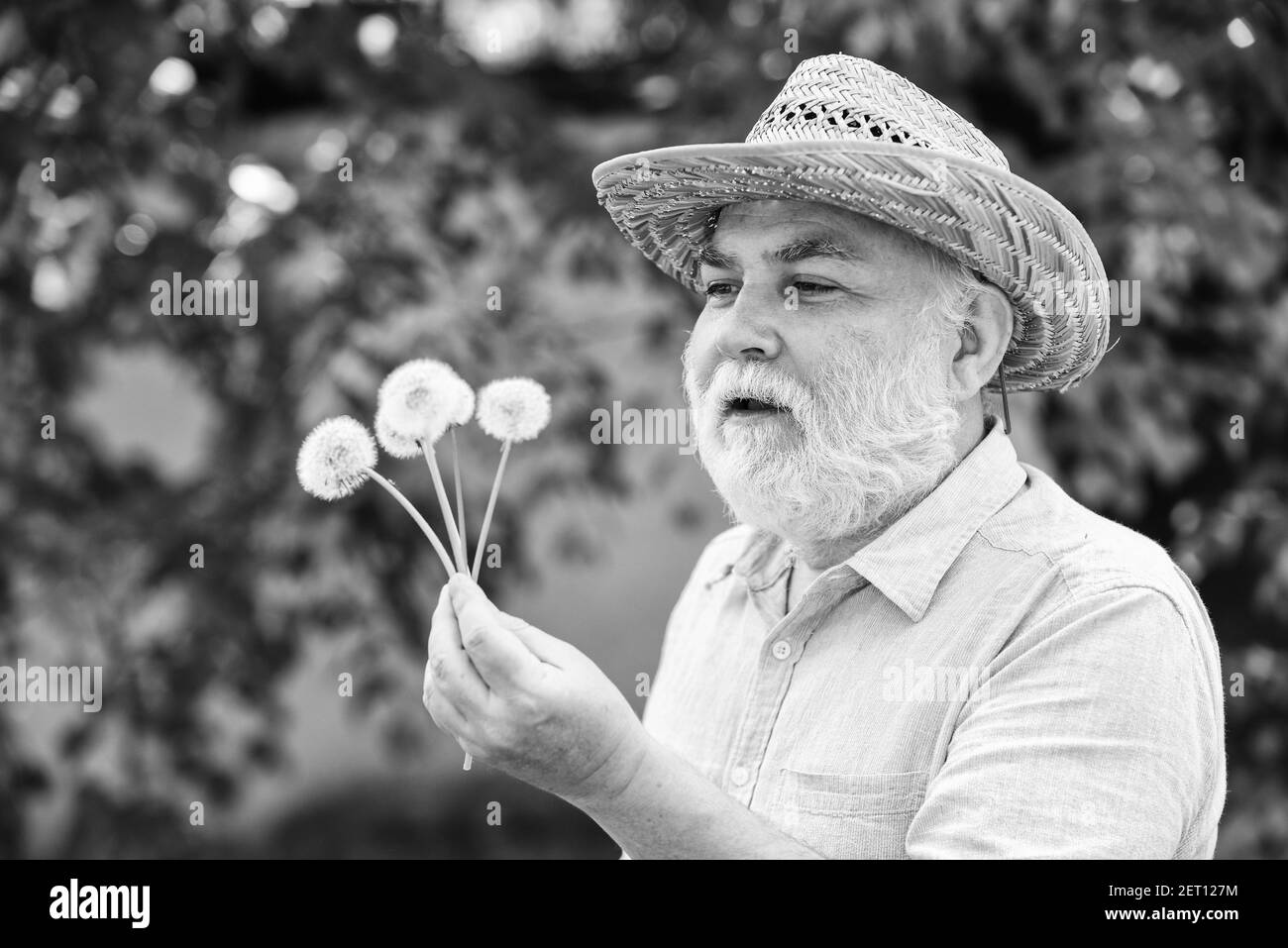 Dementia flower Black and White Stock Photos & Images - Alamy