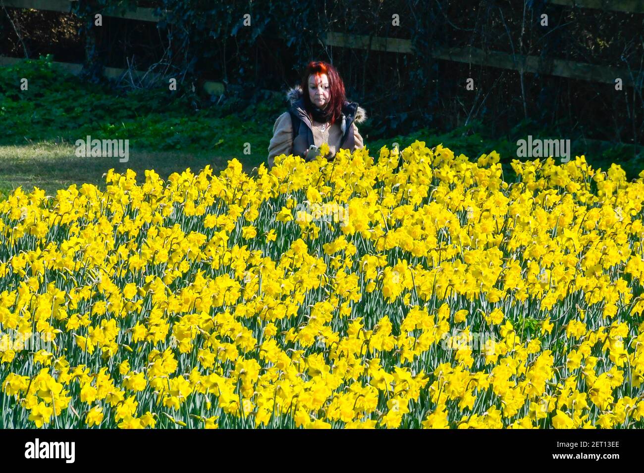 Spring valley smart water hi-res stock photography and images - Alamy