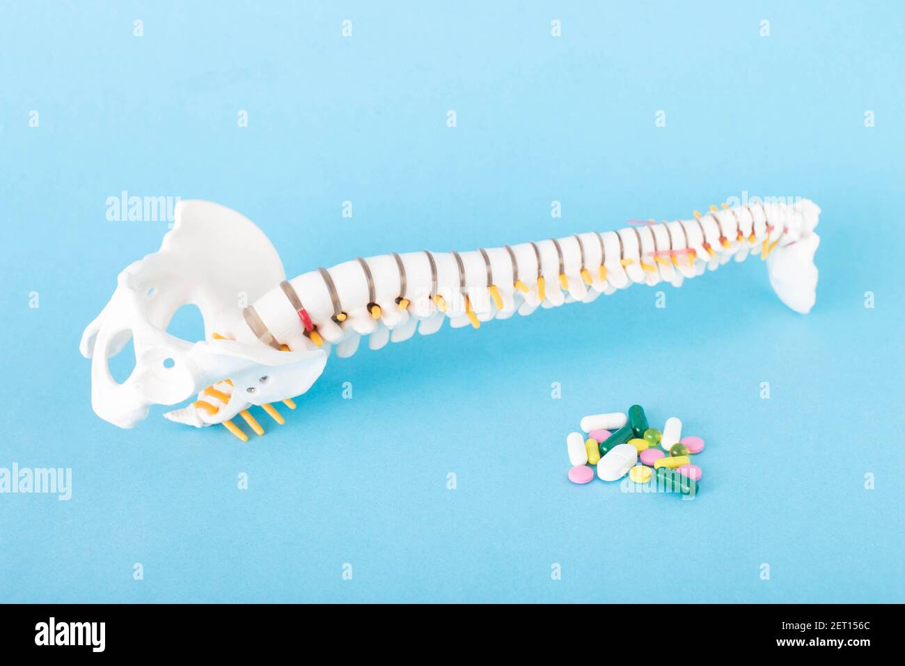 A mock up of the spine on a blue background and next to a handful of ...