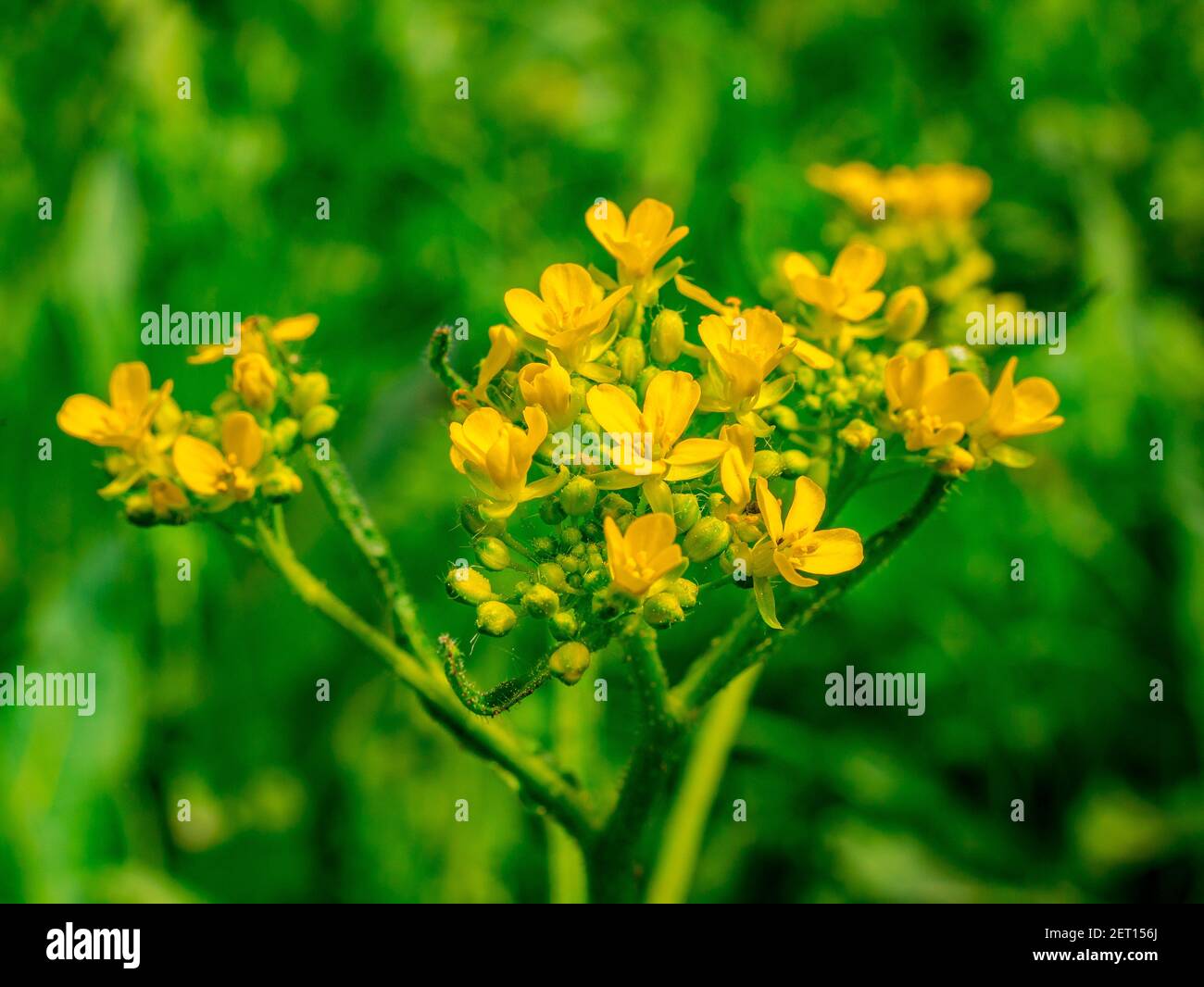 Rocket detail hi-res stock photography and images - Alamy