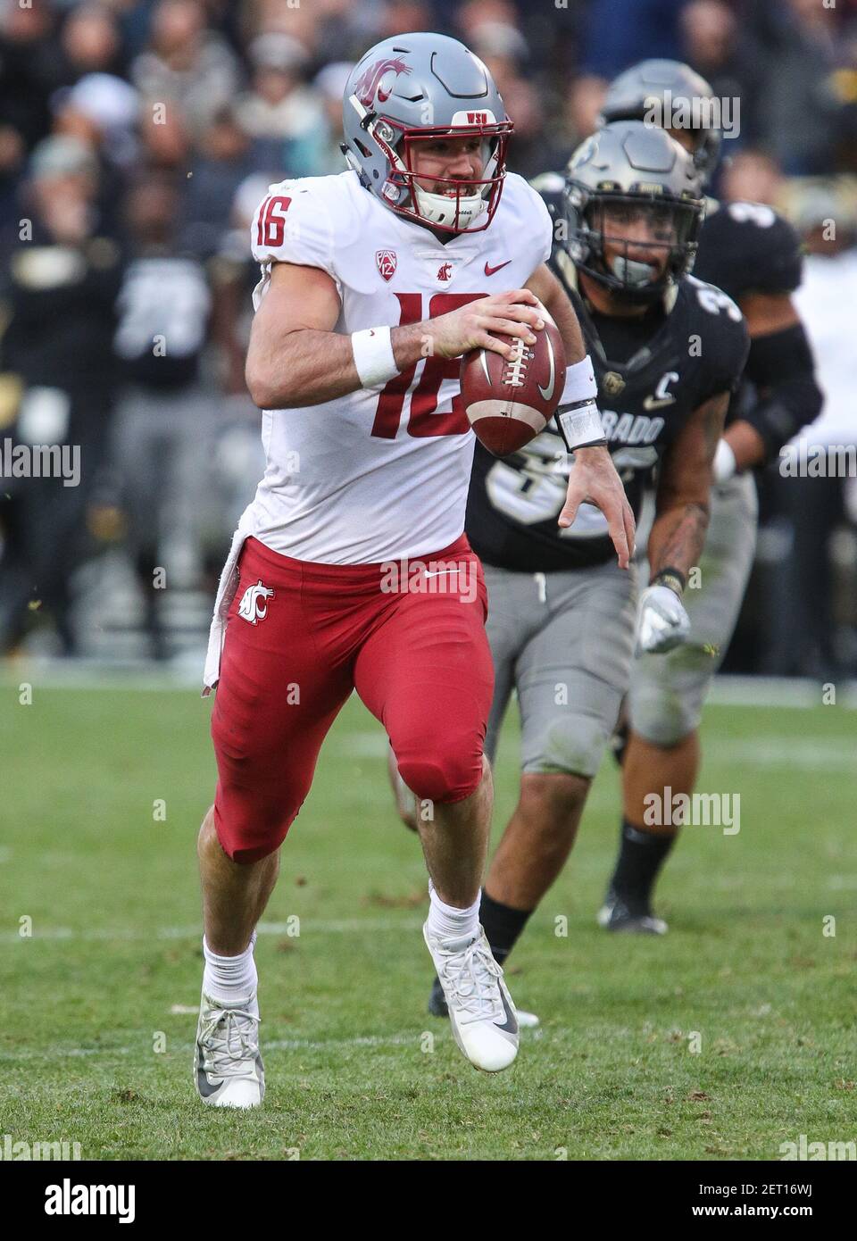November 10, 2018: Washington State QB Gardner Minshew scrambles for a ...