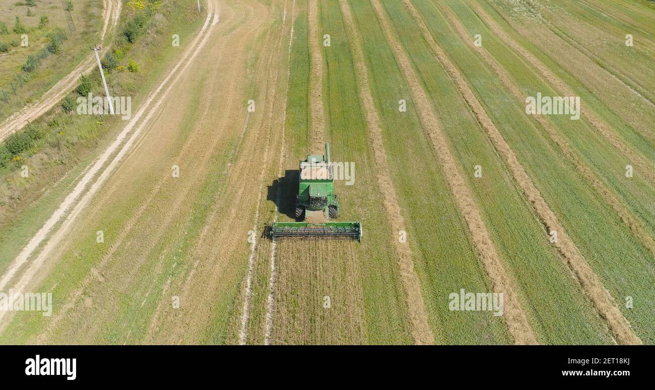 Combine harvester at work harvesting field wheat. Aerial view Combine ...