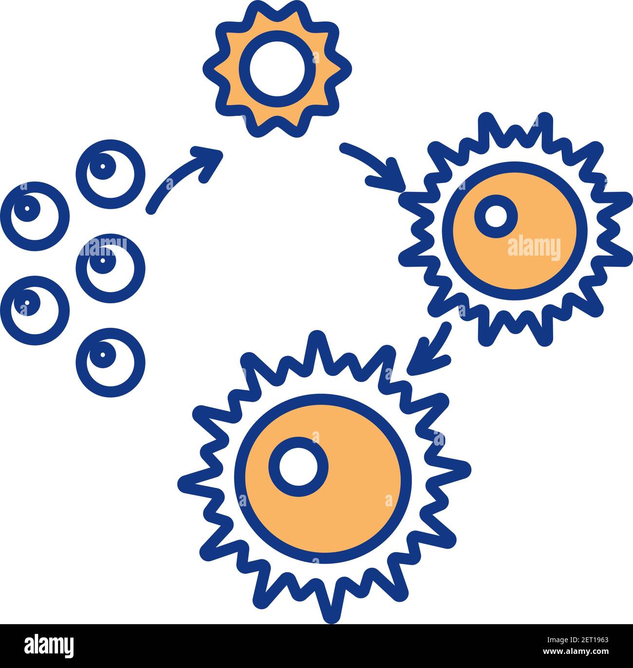 Mature ovum development RGB color icon Stock Vector Image & Art - Alamy