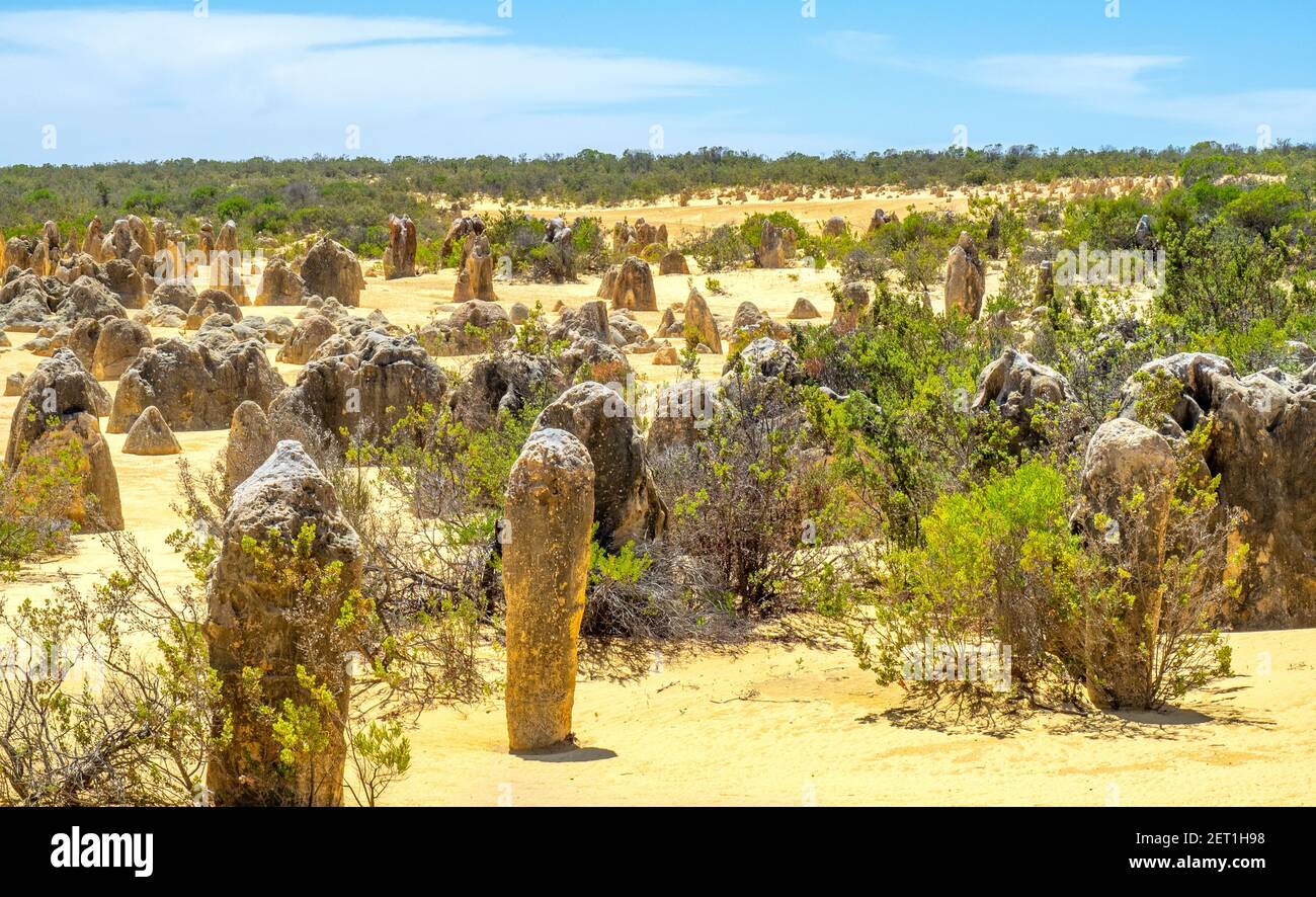 The Pinnacles, thousands of limestone formations or pillars, within ...