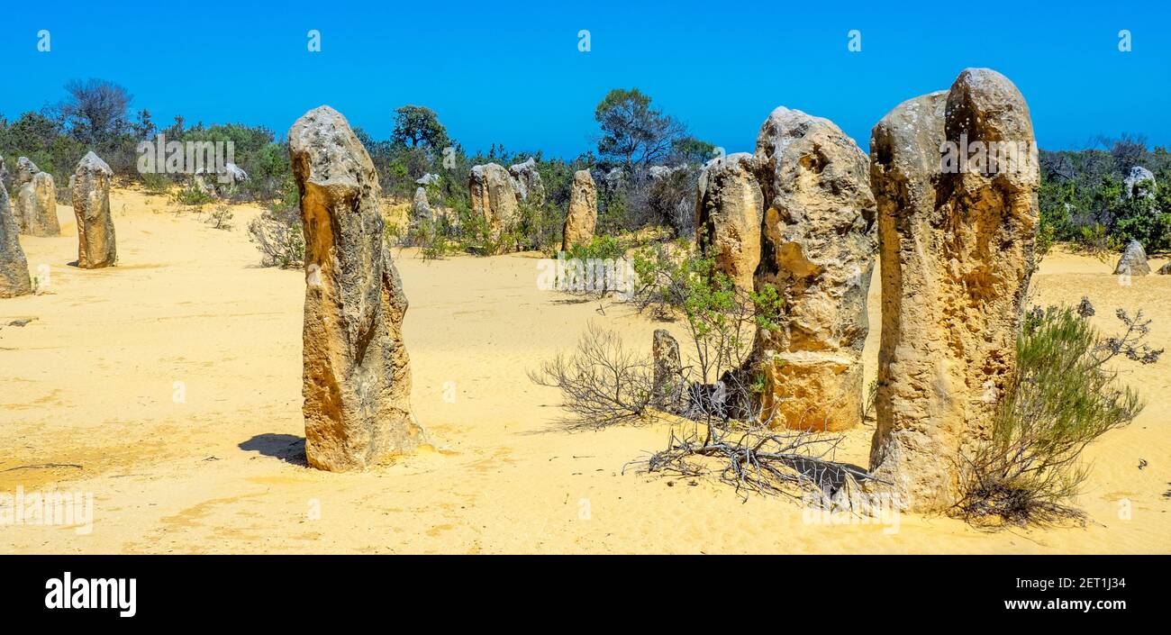 Thousands of limestone pillars hi-res stock photography and images - Alamy
