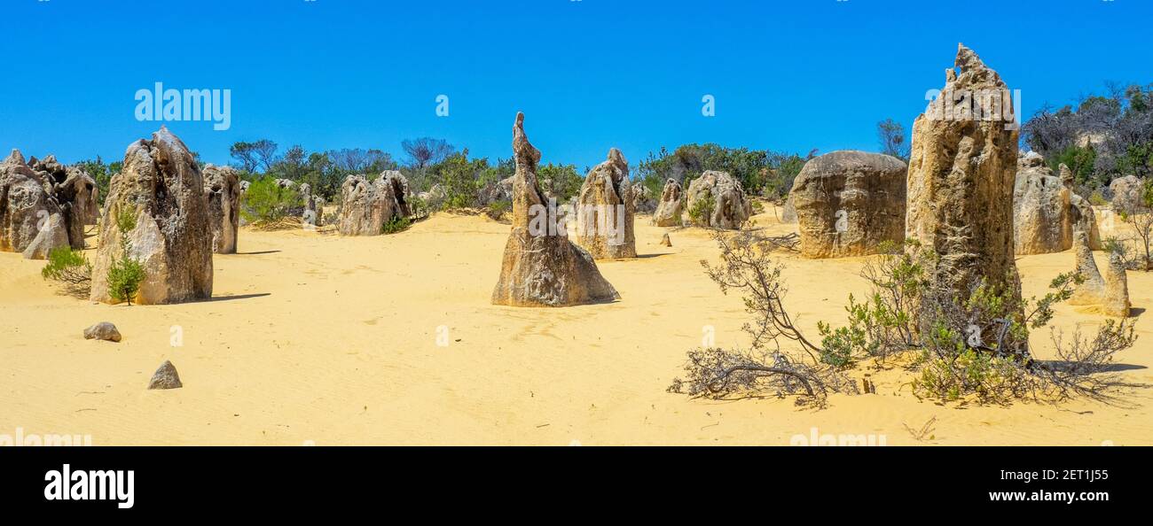 The Pinnacles, thousands of limestone formations or pillars, within ...