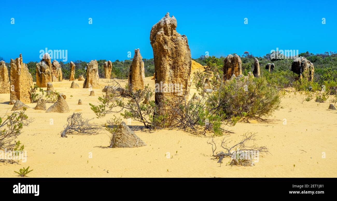 The Pinnacles, thousands of limestone formations or pillars, within ...