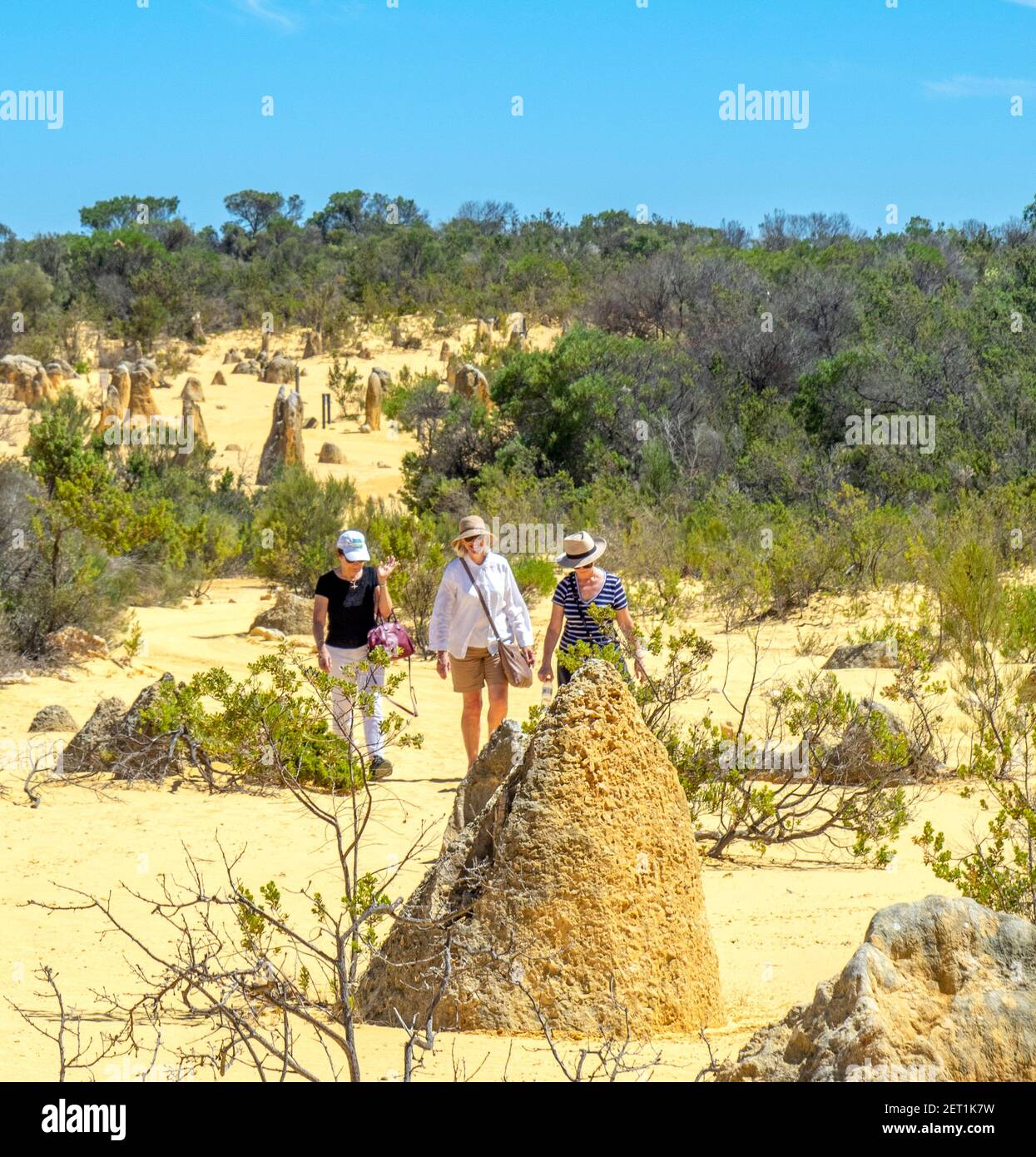 The Pinnacles, thousands of limestone formations or pillars, within ...