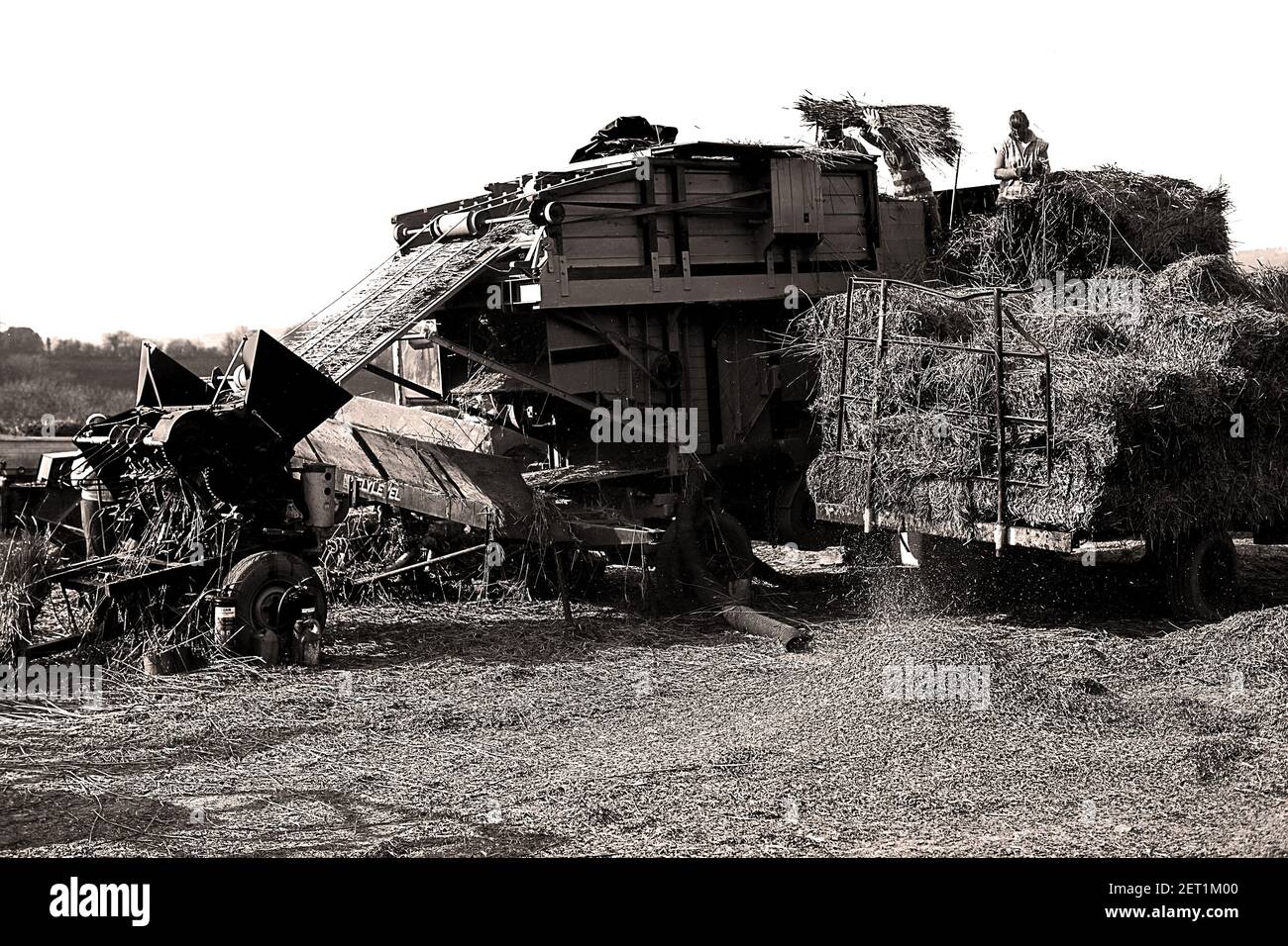 Gritty Black and white portraits of Devon thatchers, rural and ...