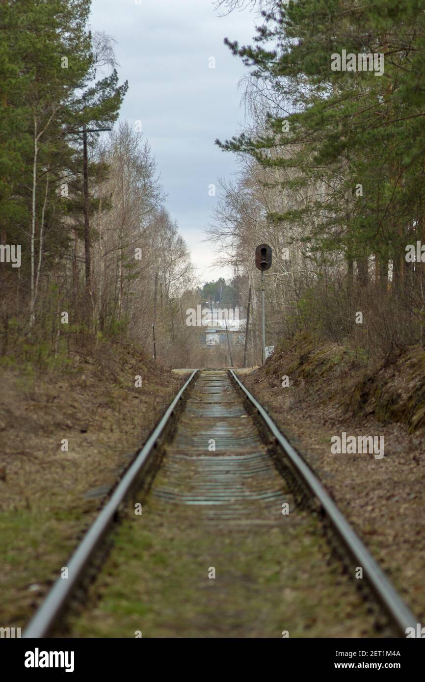 Rail track between trees hi-res stock photography and images - Alamy
